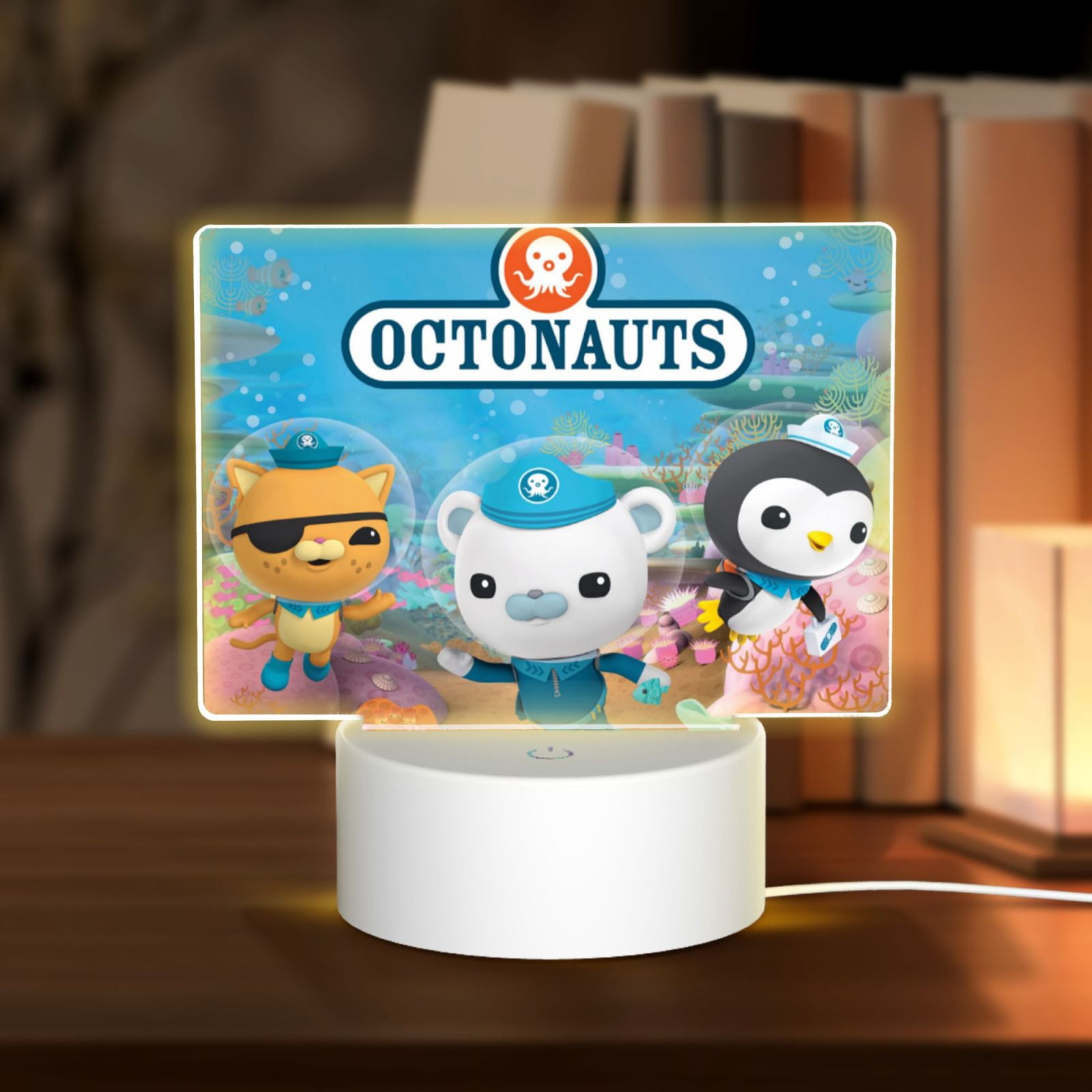Sea The Octonauts Rectangular Acrylic Night Light USB Cable Lamp Light ...