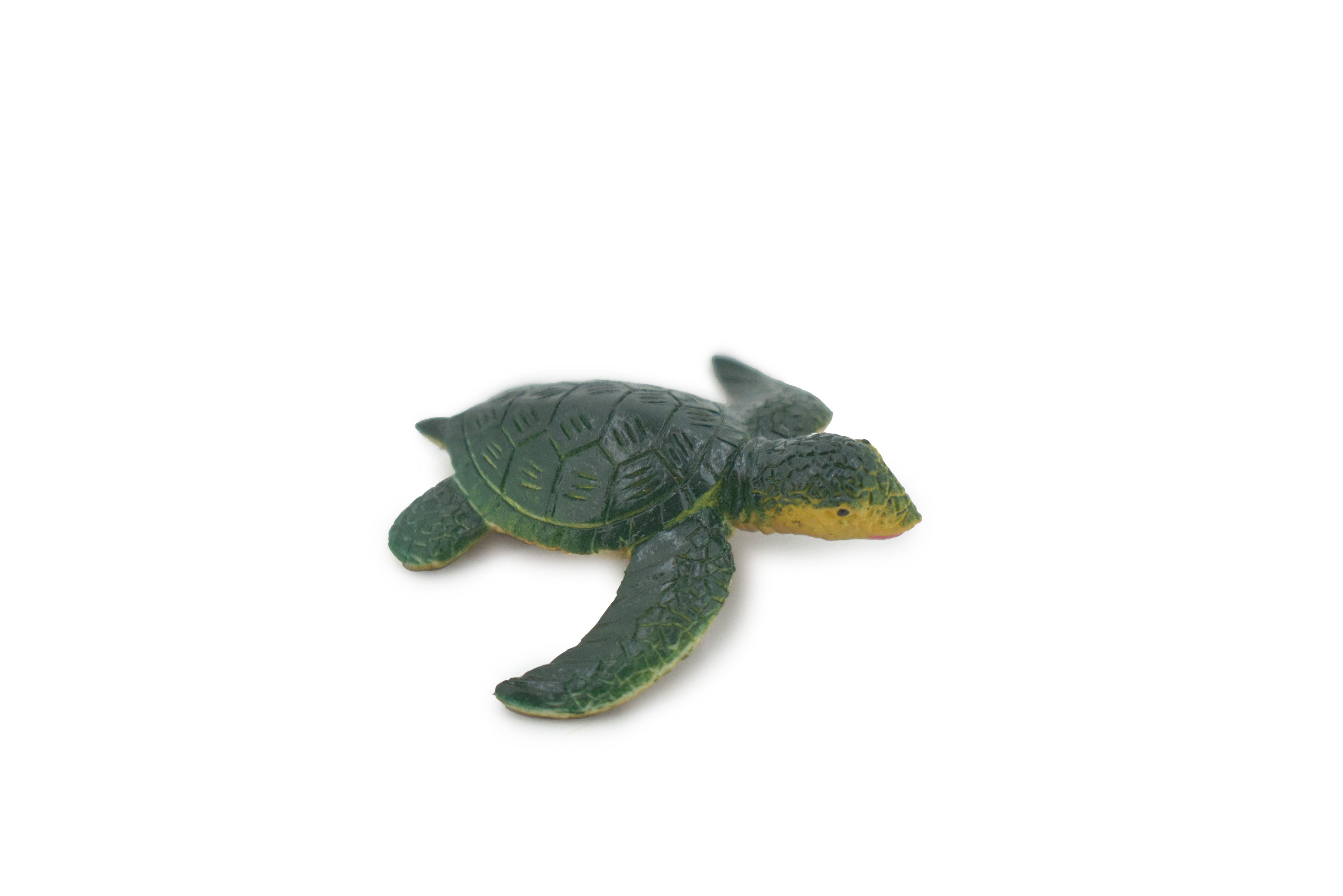 Sea Turtle, Baby Sea Turtle, Design, Realistic, Figure, Reptile ...