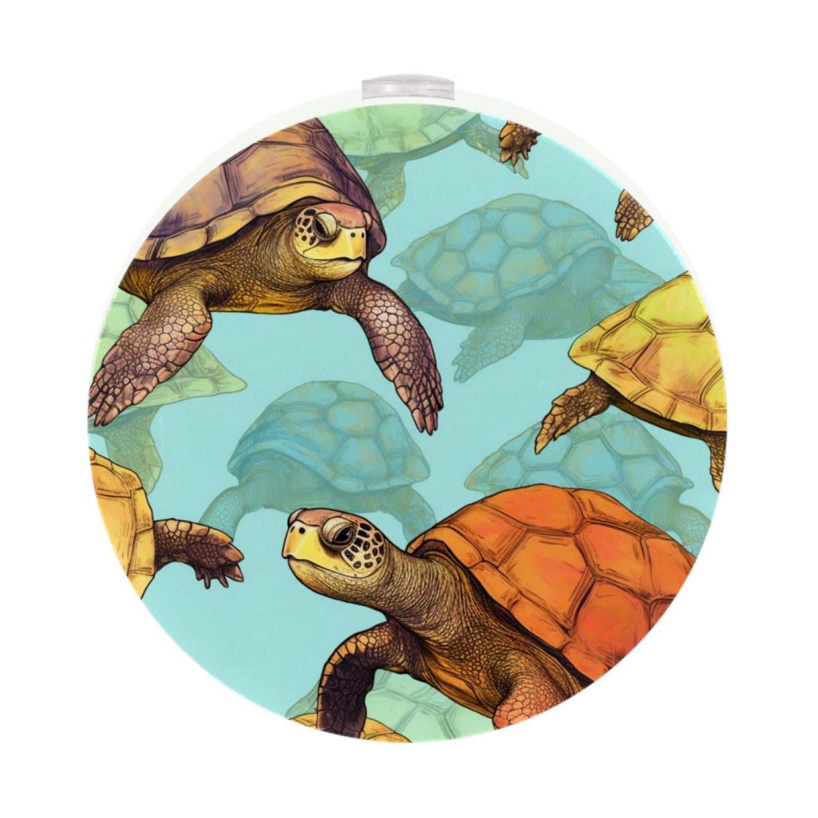 Sea Turtle Circular Night Light - 2-Pack LED Indoor Wall Night Lights ...