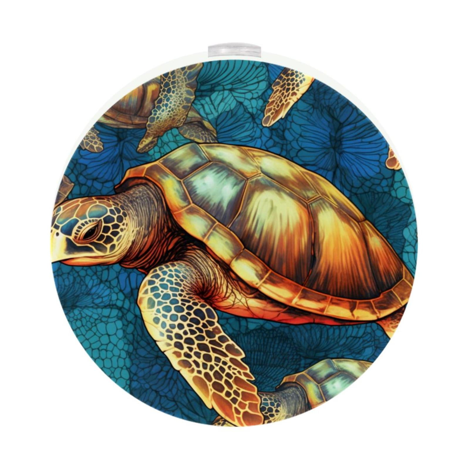 Sea Turtle Circular Night Light - 2 Pack LED Wall Light for Indoor Use ...