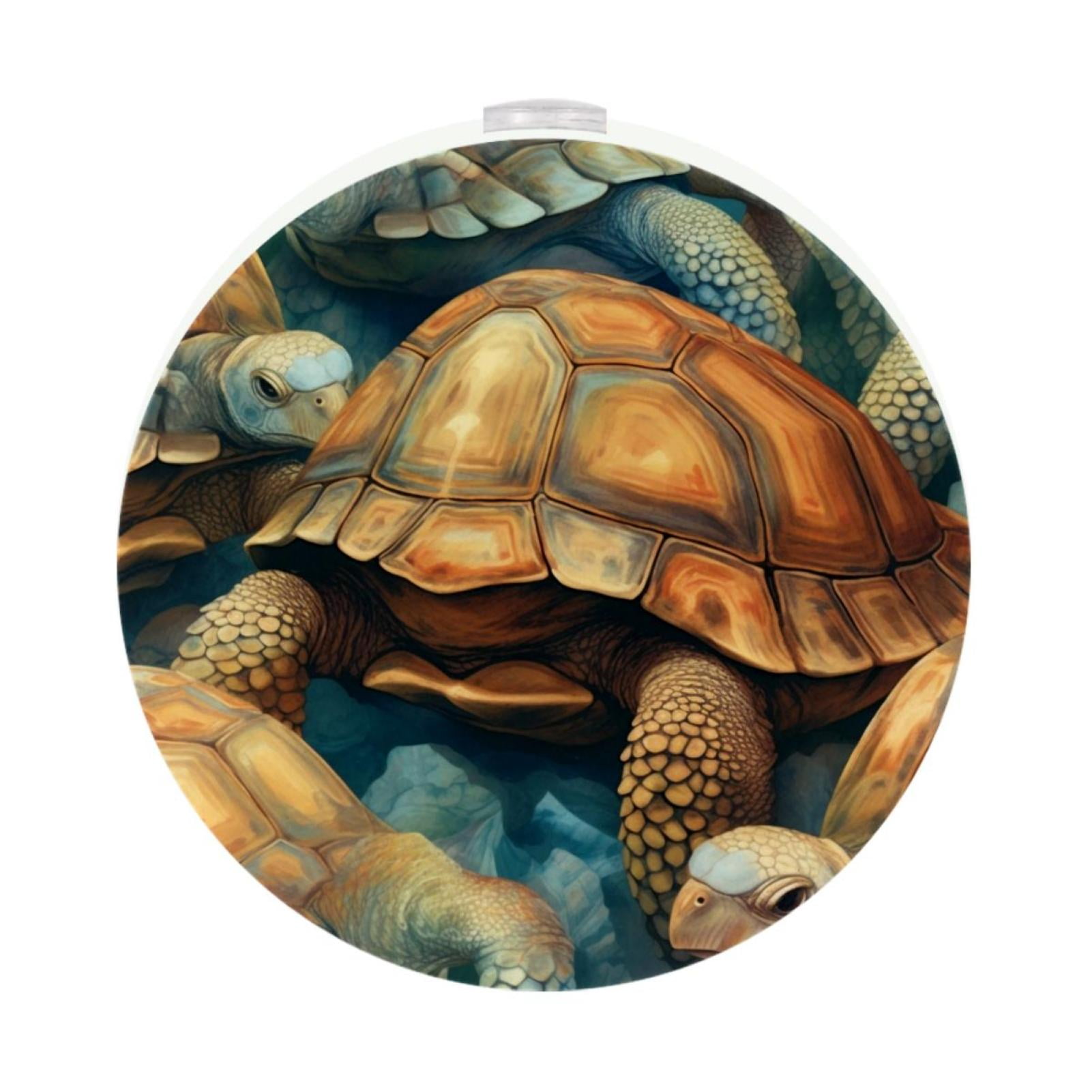 Sea Turtle Circular Night Light - Pack of 2, LED Chip, Induction Light ...