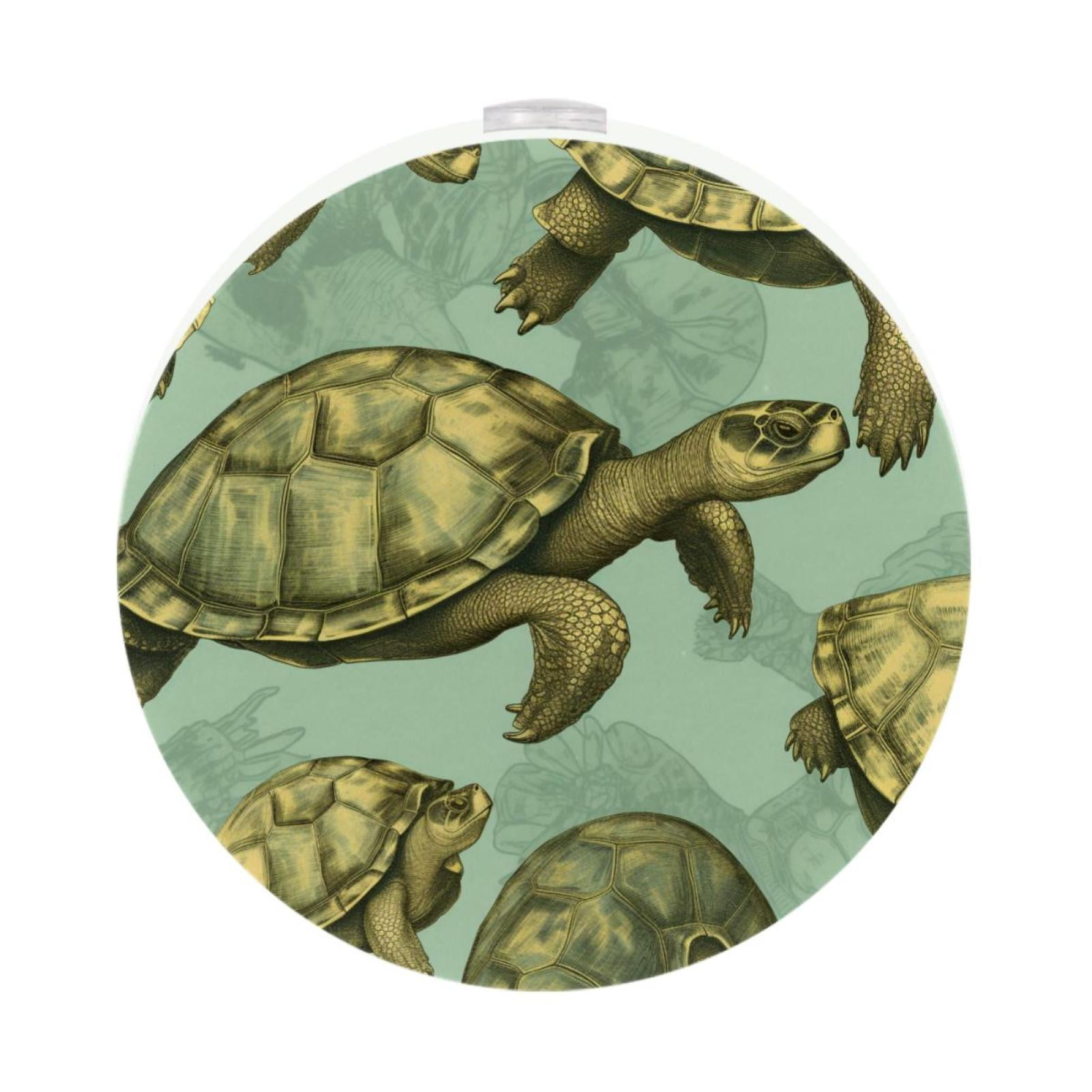 Sea Turtle Circular Night Light - Pack of 2, LED Induction Wall Light ...