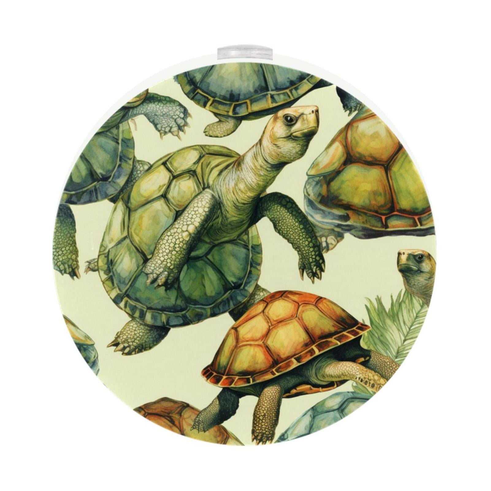 Sea Turtle Circular Night Light - Set of 2 LED Room Lights, ABS ...