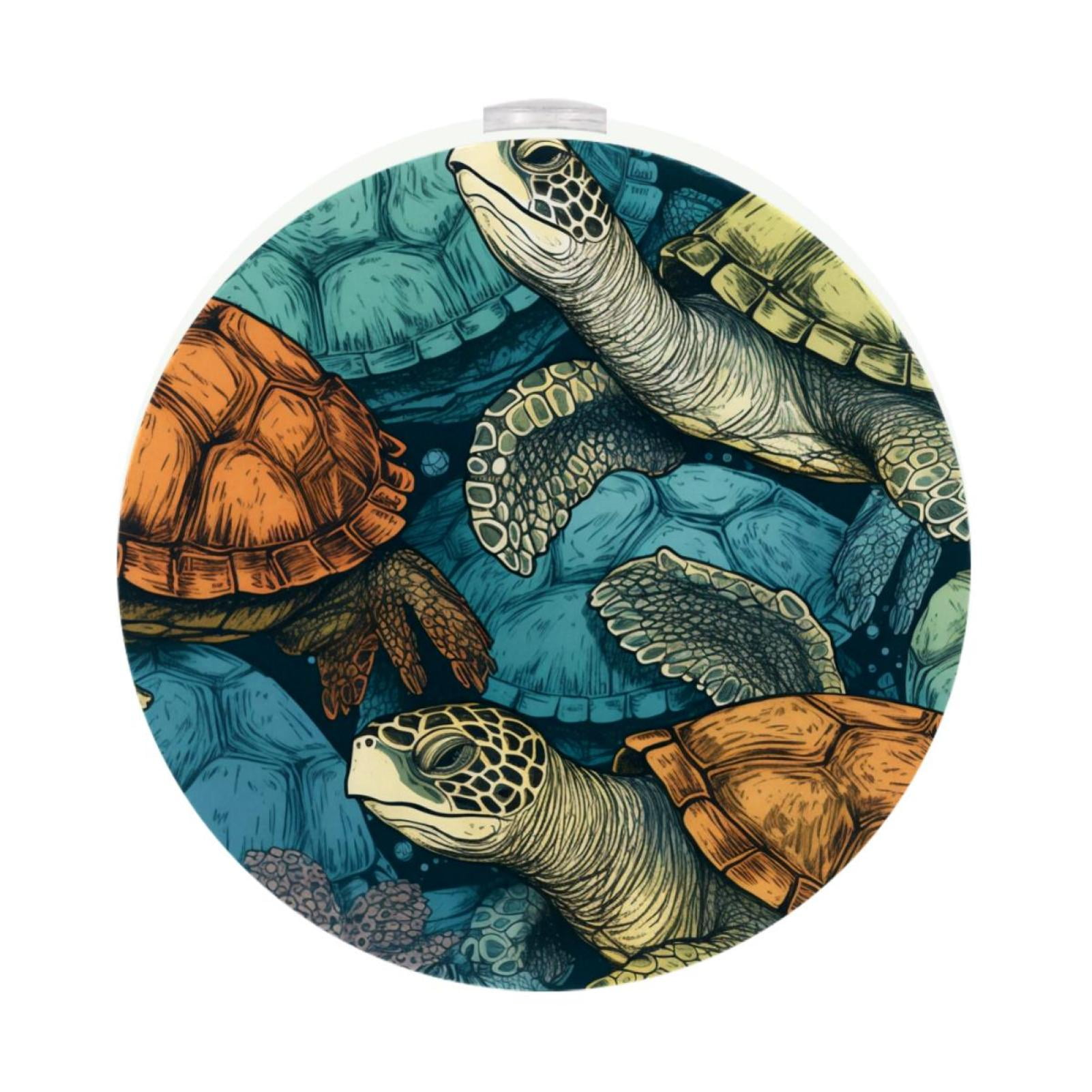 Sea Turtle Circular Night Light - Two Pack LED Wall Light for Indoor ...