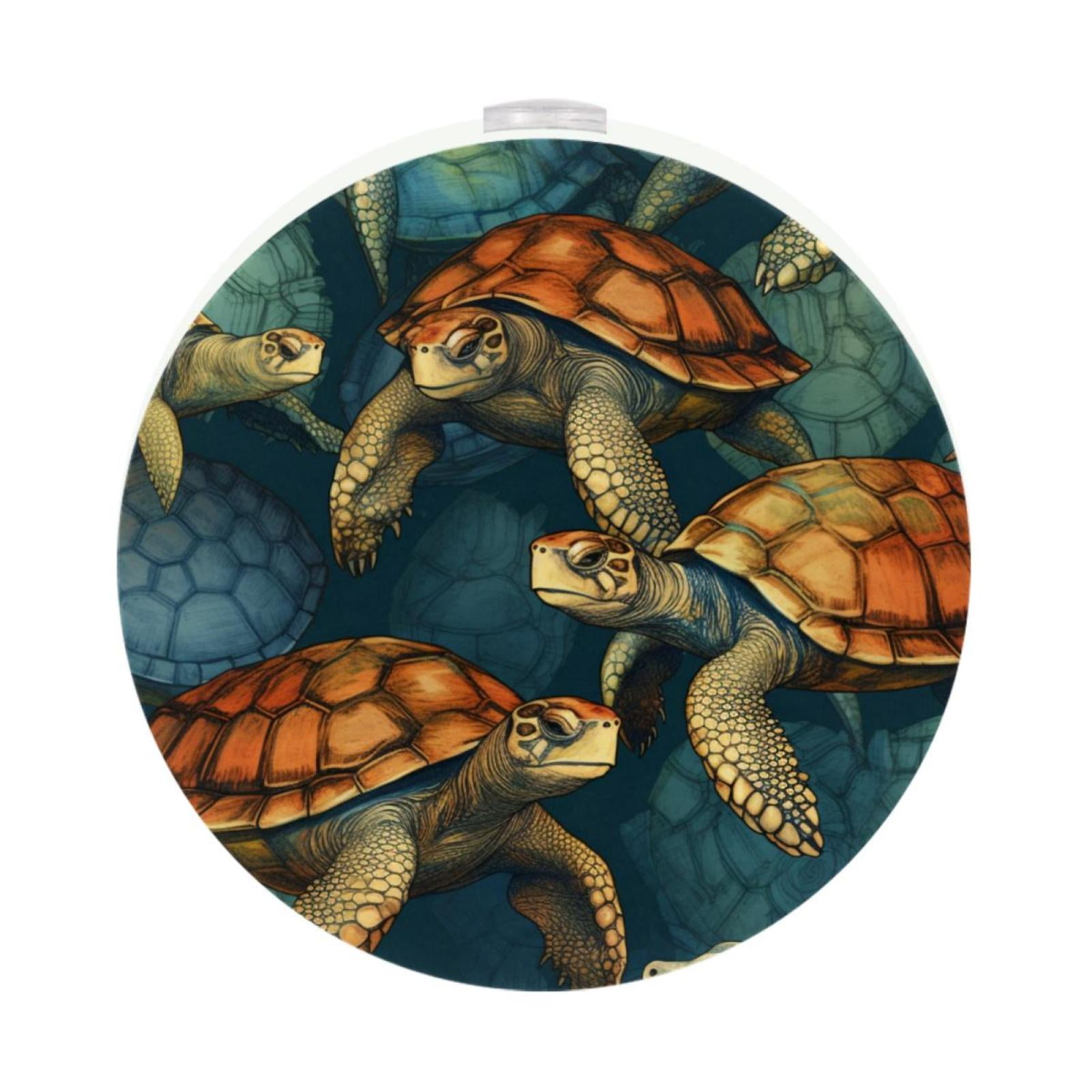 Sea Turtle Circular Night Lights - 2 Pack Small LED Night Light Wall ...