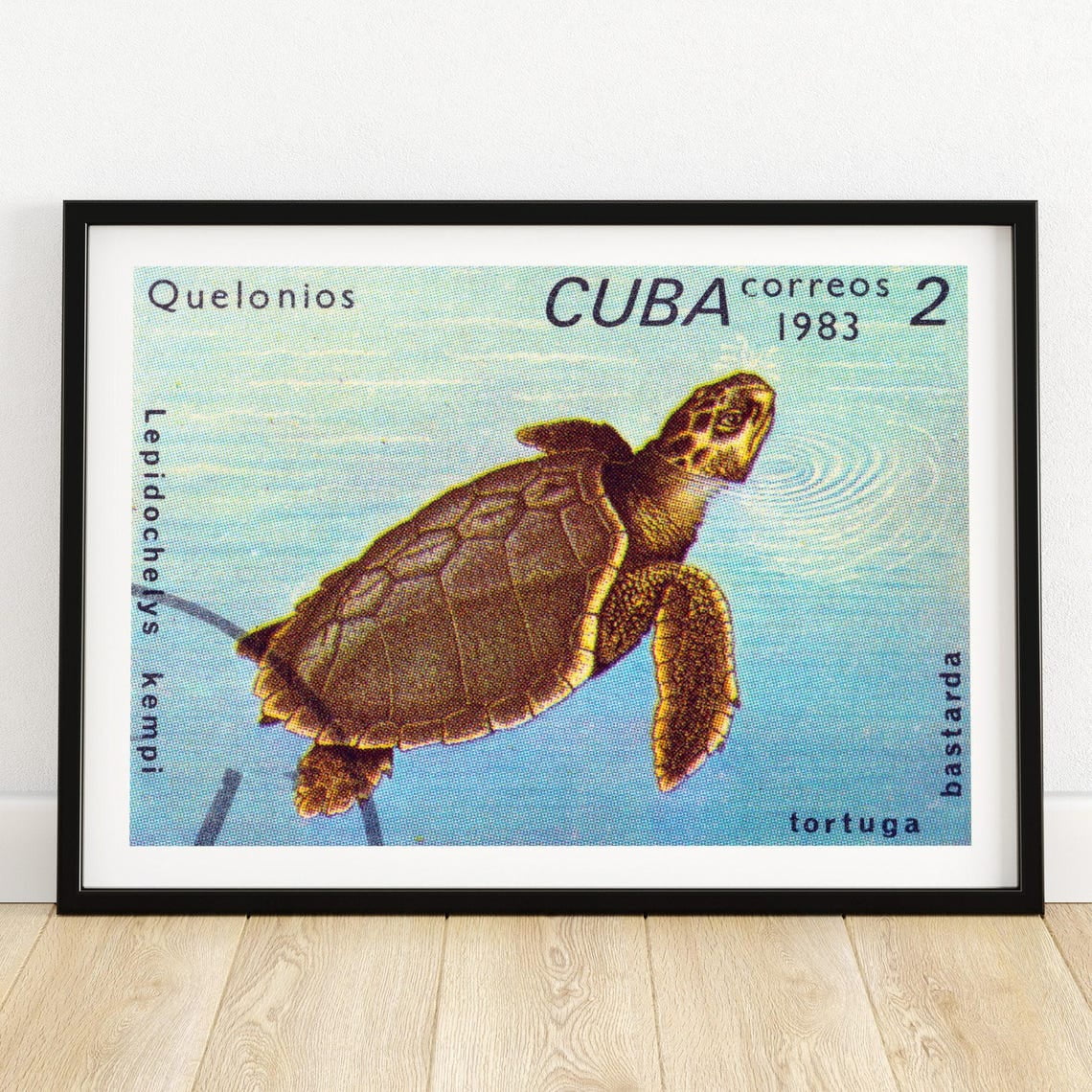 Sea Turtle - Cuba - Postage Stamp Print - Aesthetic Wall Art - Postage ...