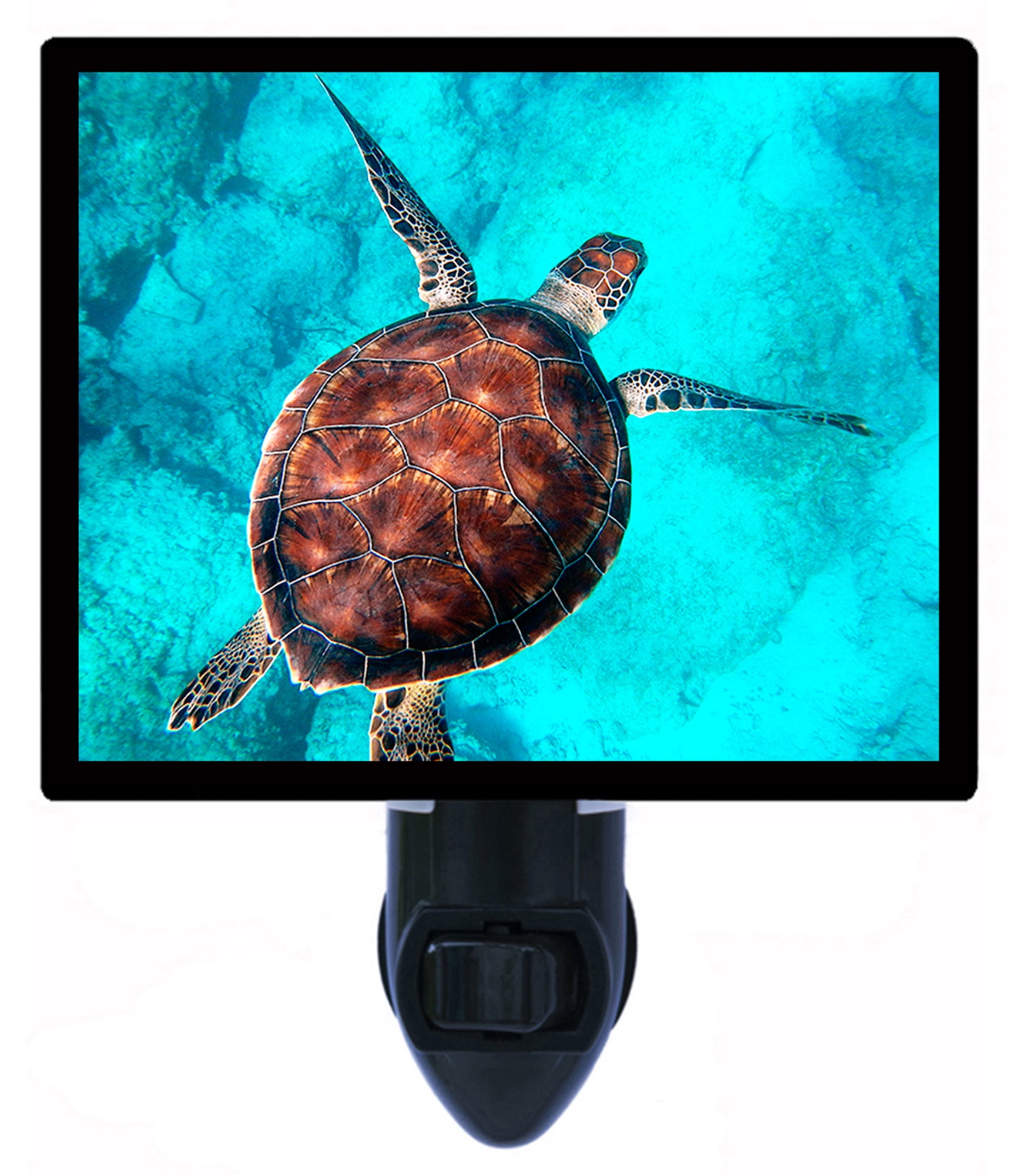 Sea Turtle Night Light Plus Extra Free Switchable Insert. 4 Watt Bulb ...