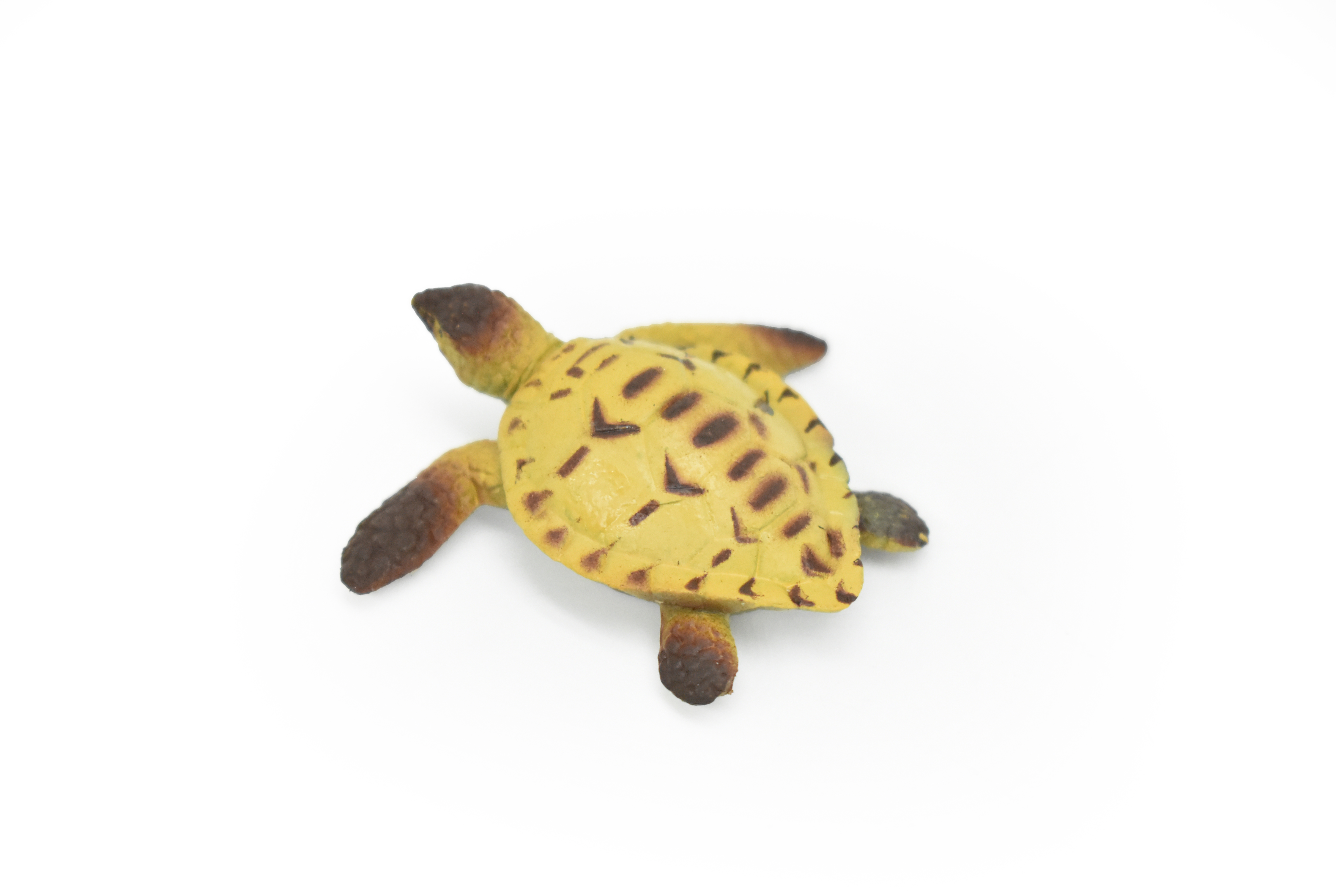 Sea Turtle, Green, Realistic Plastic Replica Toy 2" CWG270 B46 (1 PACK ...