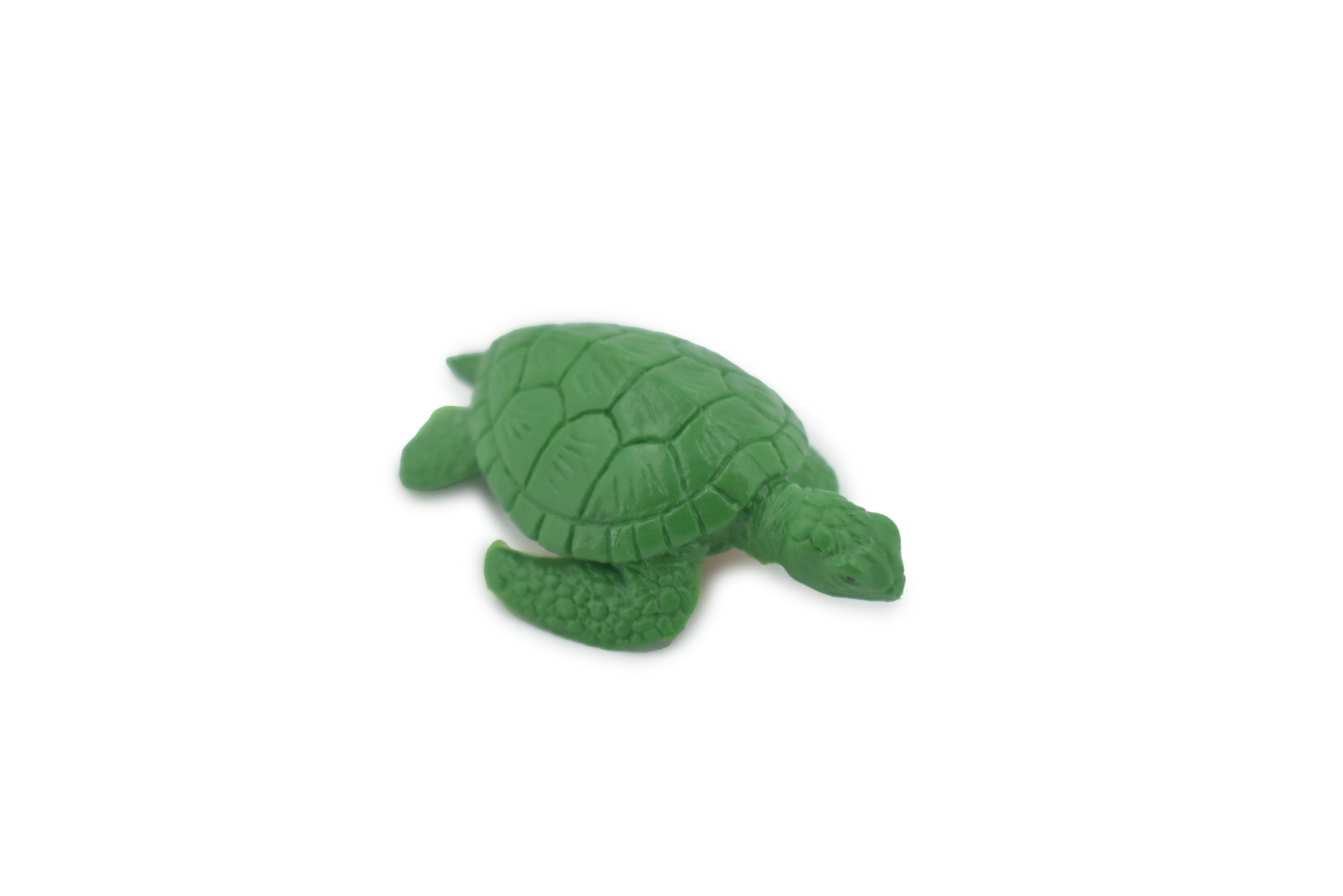 Sea Turtle, Green Sea Turtle, Design, Realistic, Figure, Reptile ...