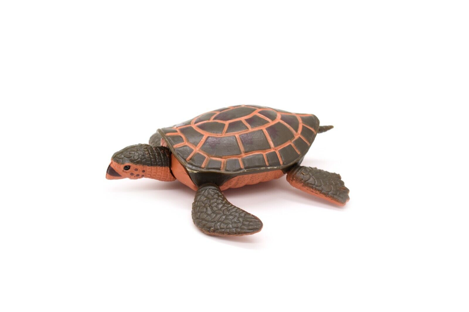 Sea Turtle, Hawksbill, Moveable Parts, Plastic Turtle, Design ...