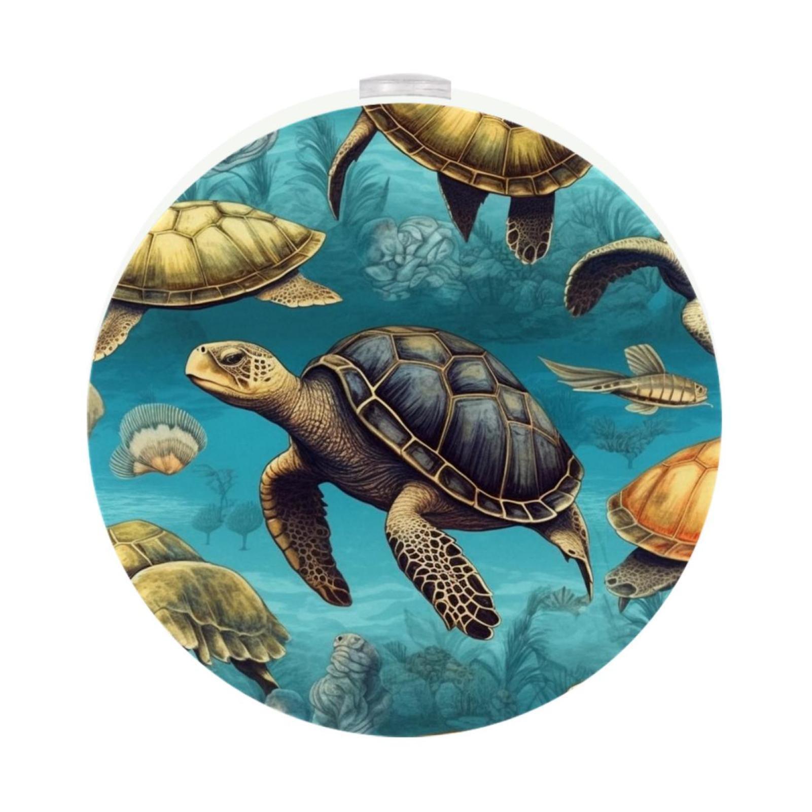 Sea Turtle LED Wall Night Light Set - Motion Sensor Control - Walmart.com