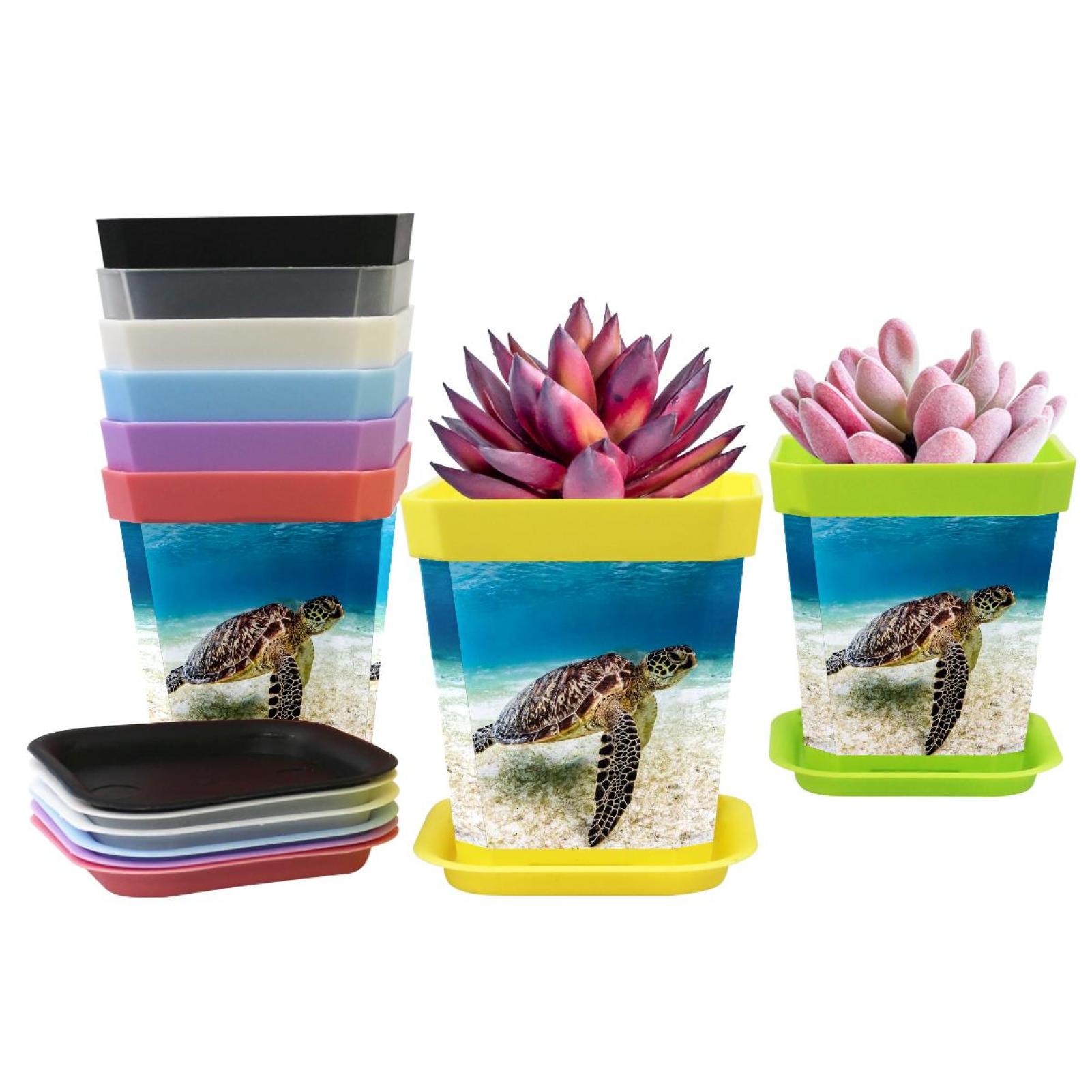 Sea Turtle Marine Ecosystem Services Caribbean Planter 8PCS Pots ...