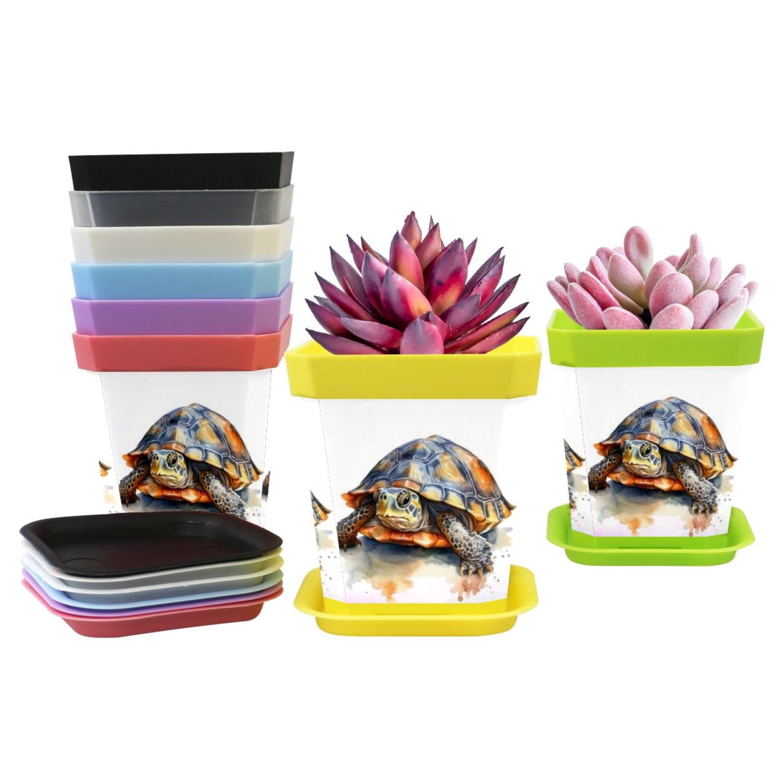 Sea Turtle Marine Nesting Behavior Caribbean Planter 8PCS Pots ...