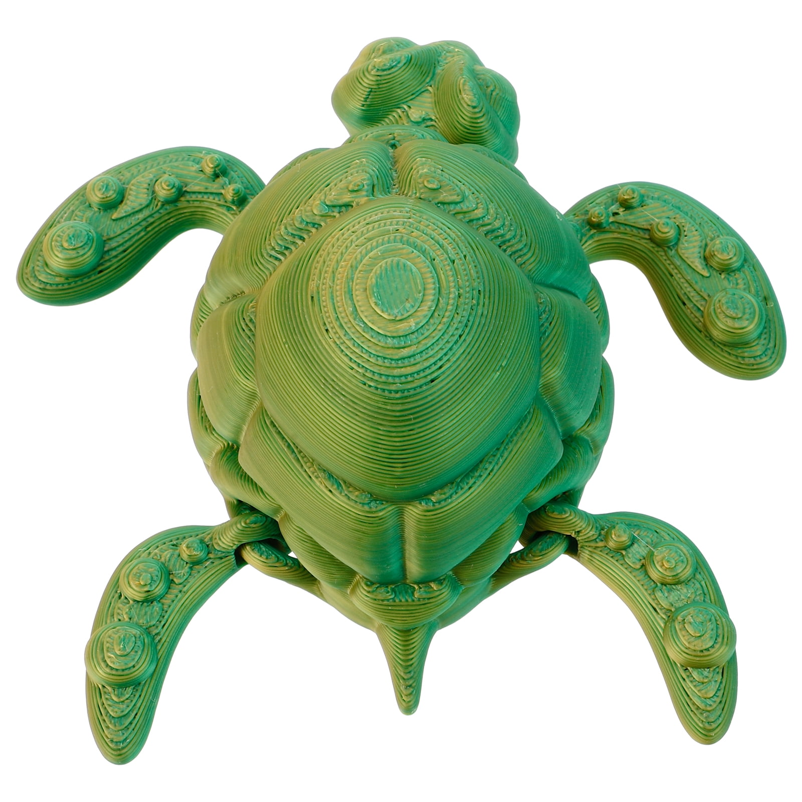 Sea Turtle Model with Movable Joints Realistic Sea Turtle Simulation ...