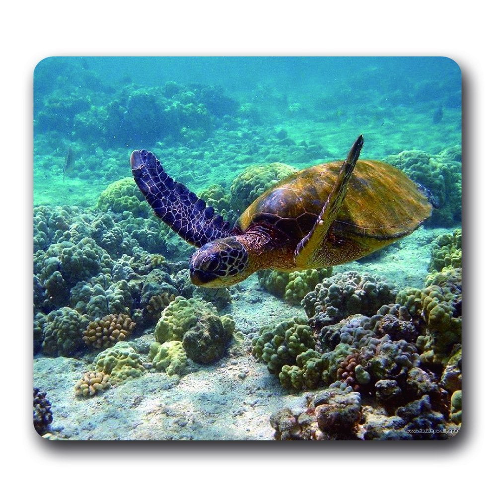 Sea Turtle Mouse pads Gaming Mouse Pad 9.84x7.87 inches - Walmart.com
