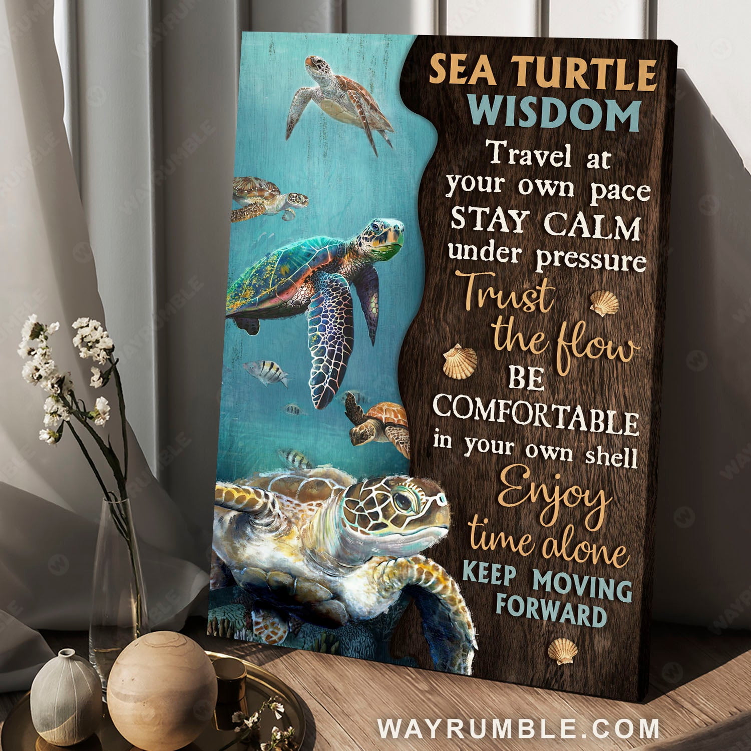 Sea Turtle, Pearl shell, Ocean world, Keep moving forward - Jesus ...