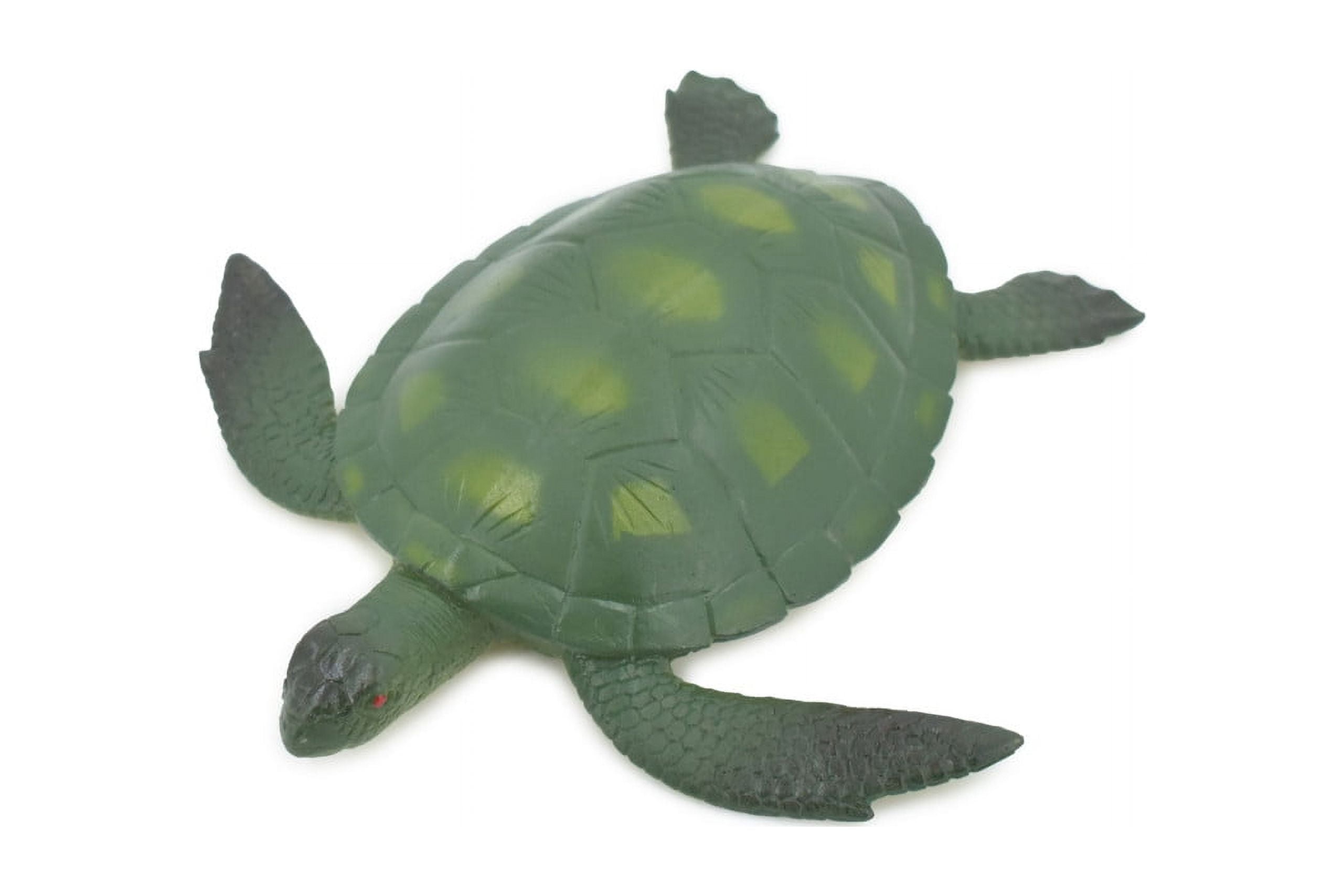 Sea Turtle, Plastic Turtle Design, Reptile, Hand Painted, Realistic ...