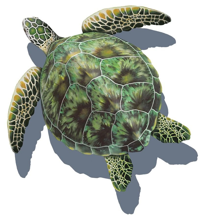 Sea Turtle Porcelain Swimming Pool Mosaic 11" x 11" with Shadow, Green ...