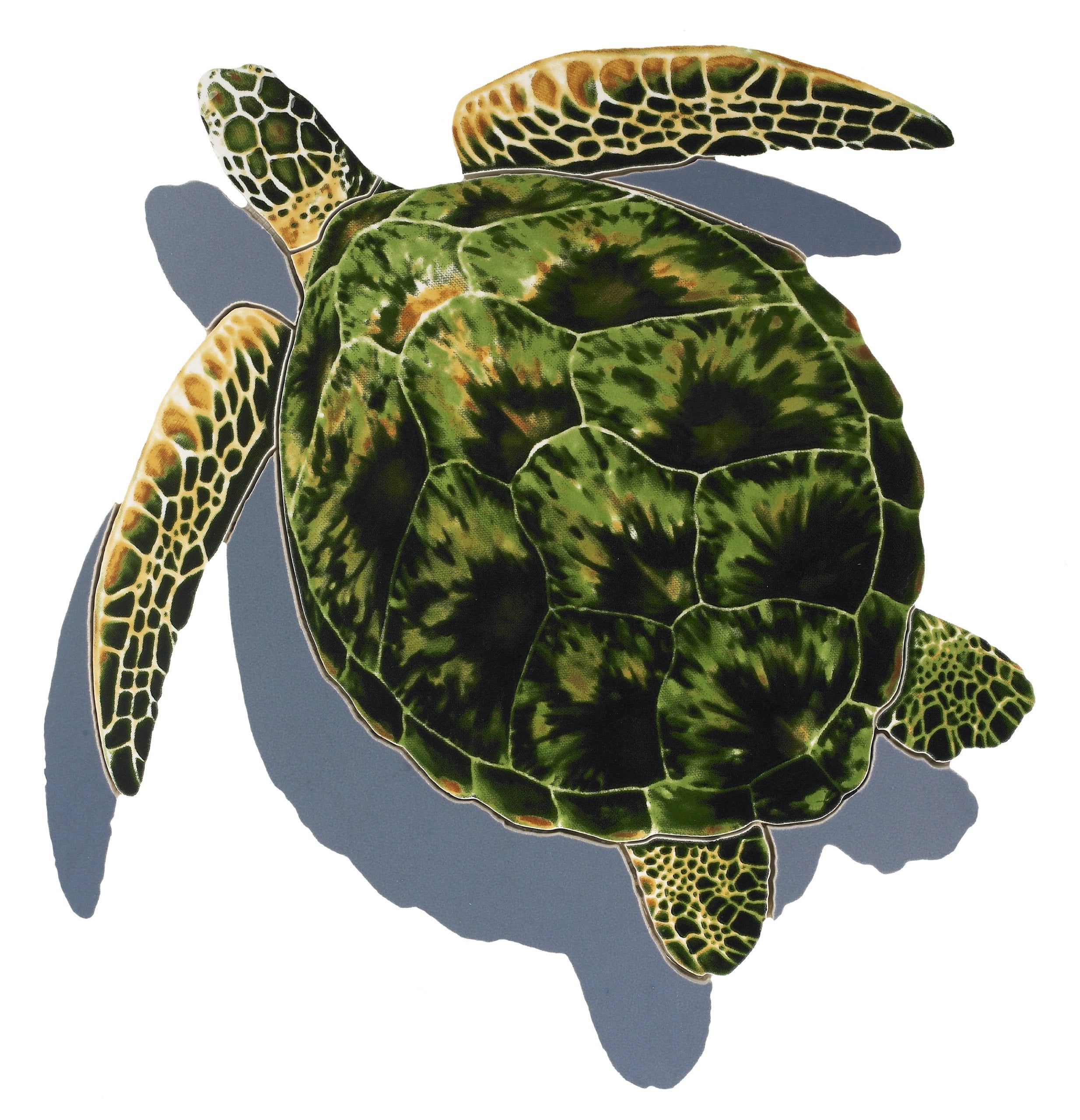 Sea Turtle Porcelain Swimming Pool Mosaic 20" x 20" with Shadow, Green ...