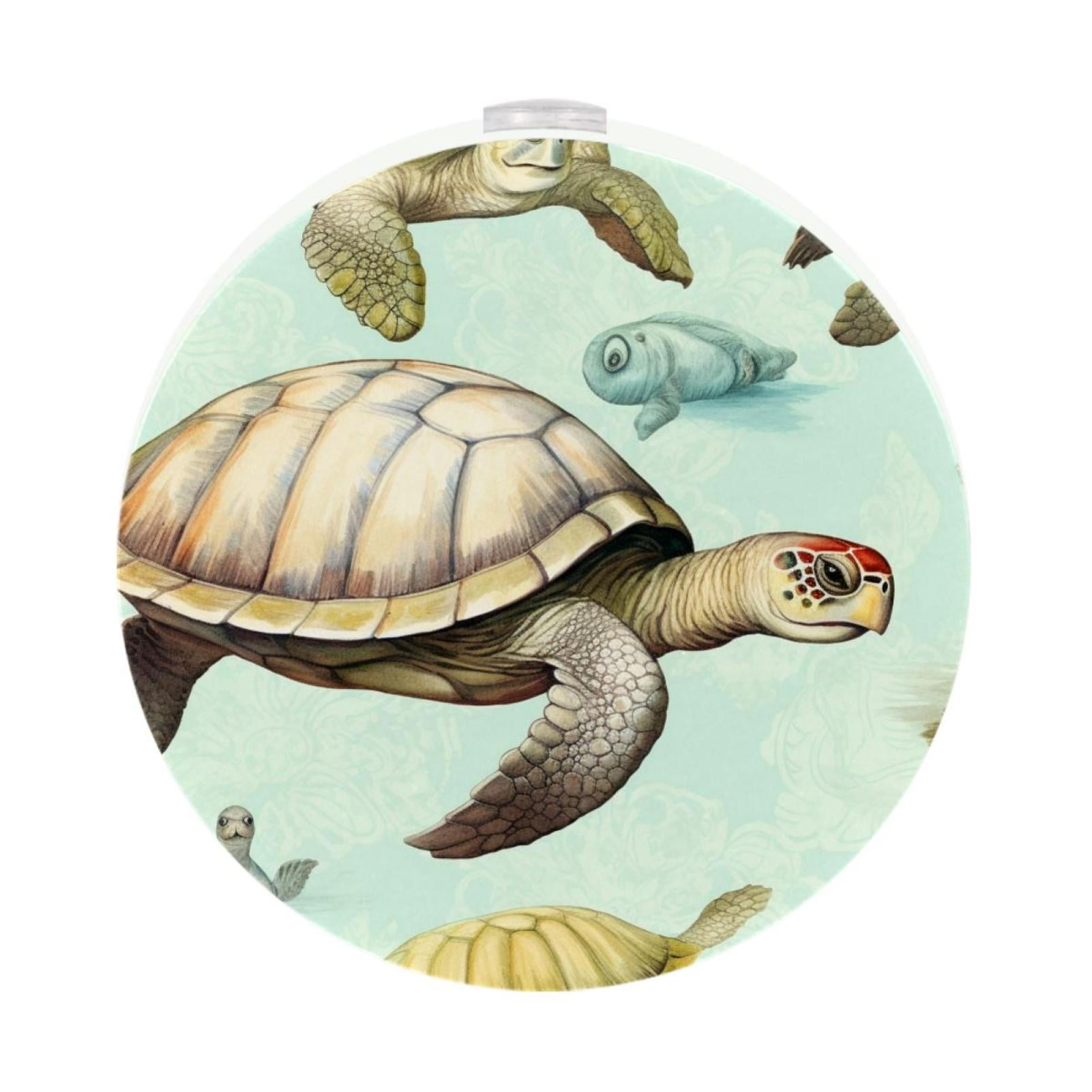 Sea Turtle Set of 2 Room Lights - Induction Controlled LED Night Light ...