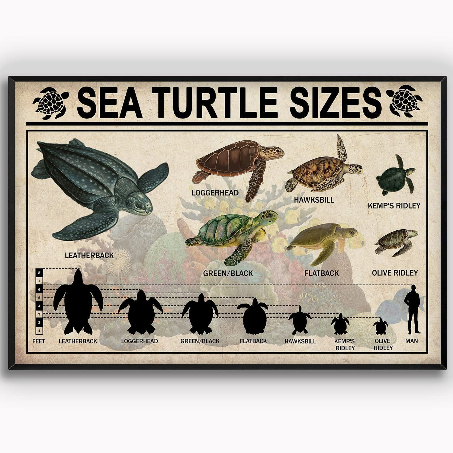 Sea Turtle Sizes Metal Signs Wall Decor Poster Turtle Knowledge Retro