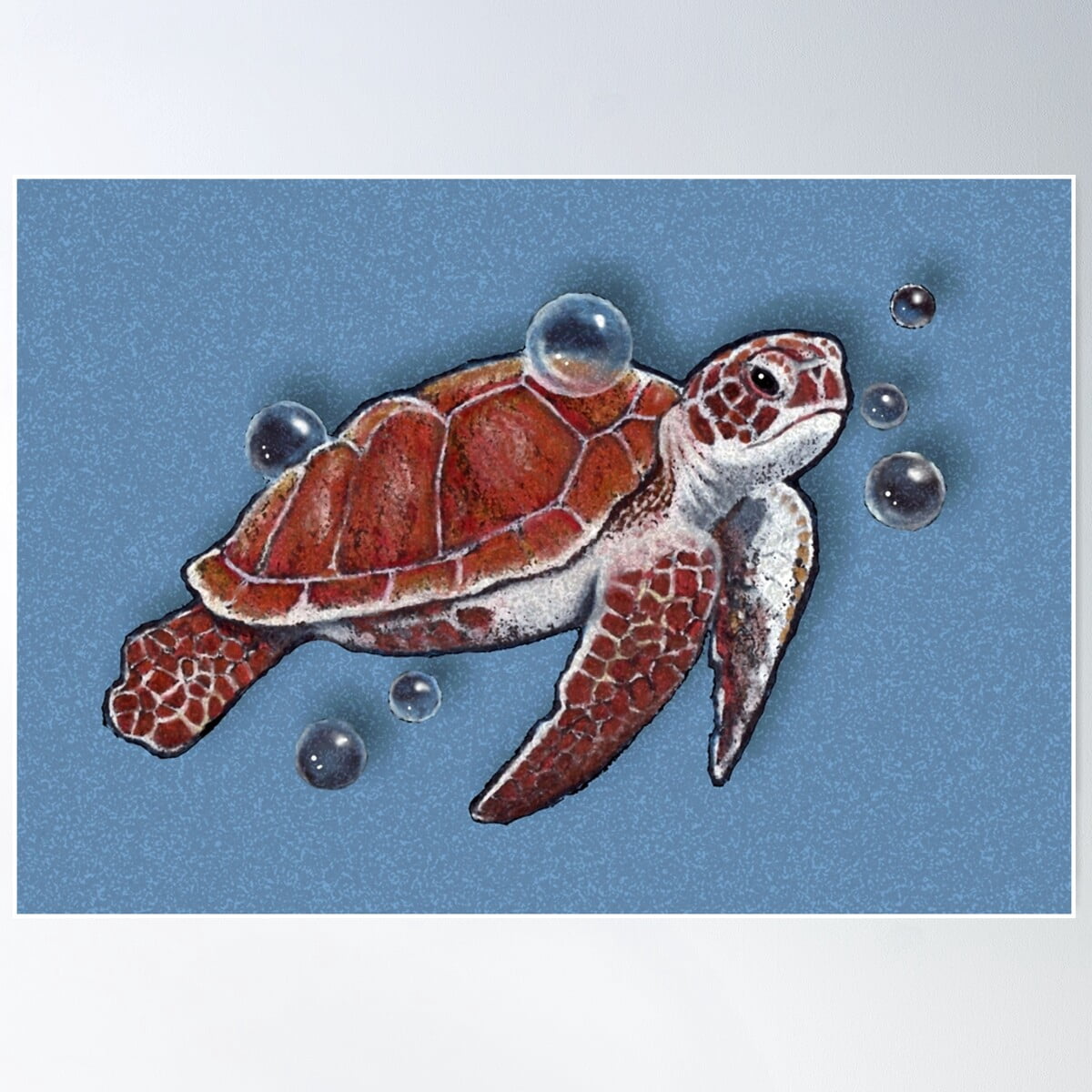 Sea Turtle Swimming With Bubbles, Marine Life, Ocean, Art, Drawing ...