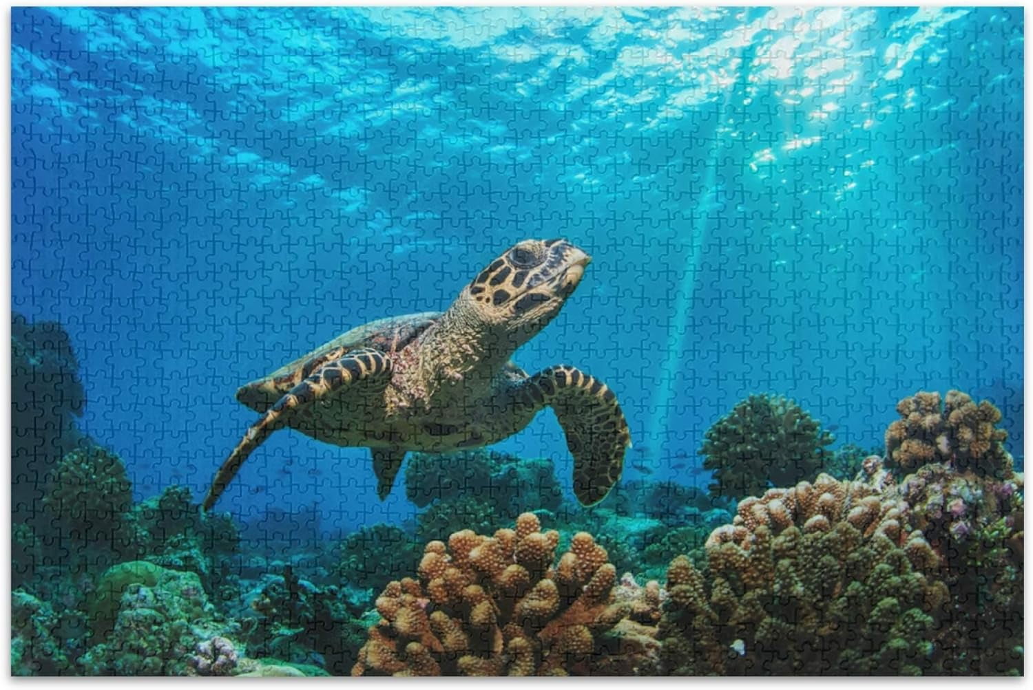 Sea Turtle Turtle Over Coral Reef Jigsaw Puzzles for Adults 1000 Pieces ...