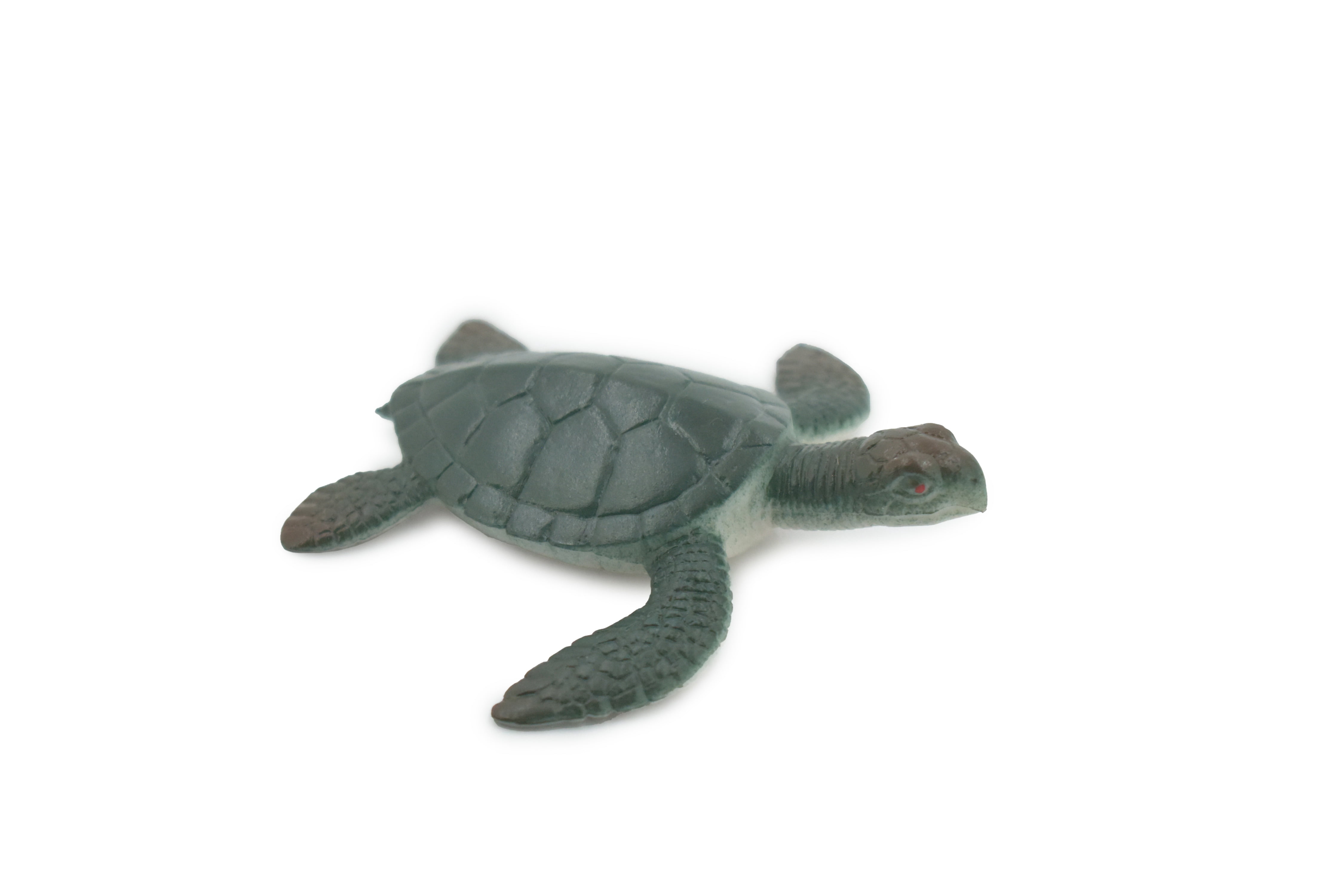 Sea Turtle, Two Tone Color, High Quality, Hand Painted, Rubber Reptile ...