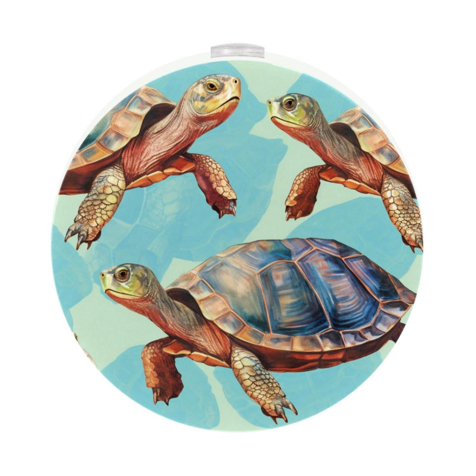 Sea Turtle Wall Night Light - Pack of 2, LED Induction Control, ABS ...