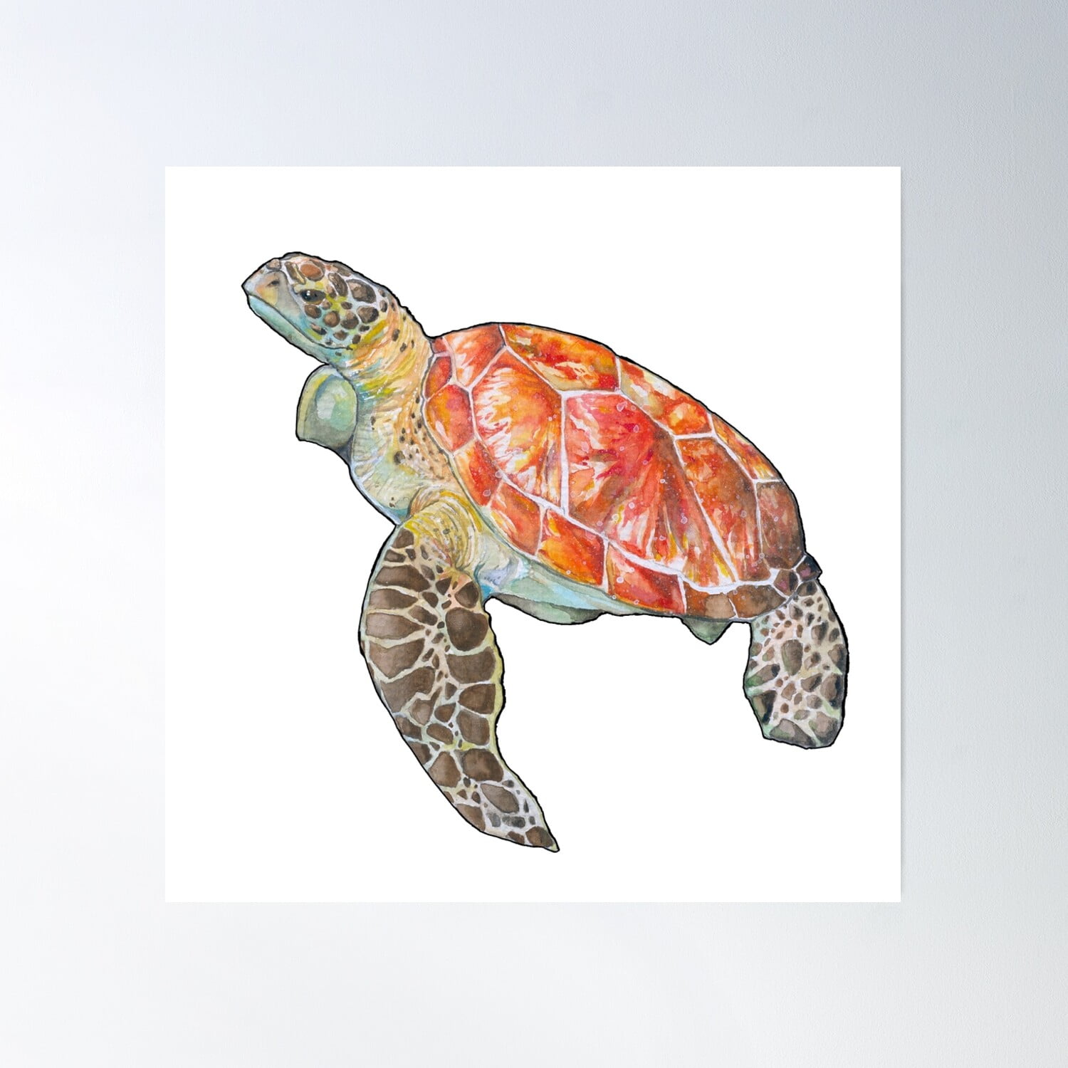 Sea Turtle Water Color Poster Wall Art, Modern Wall Decor, 16x16 ...