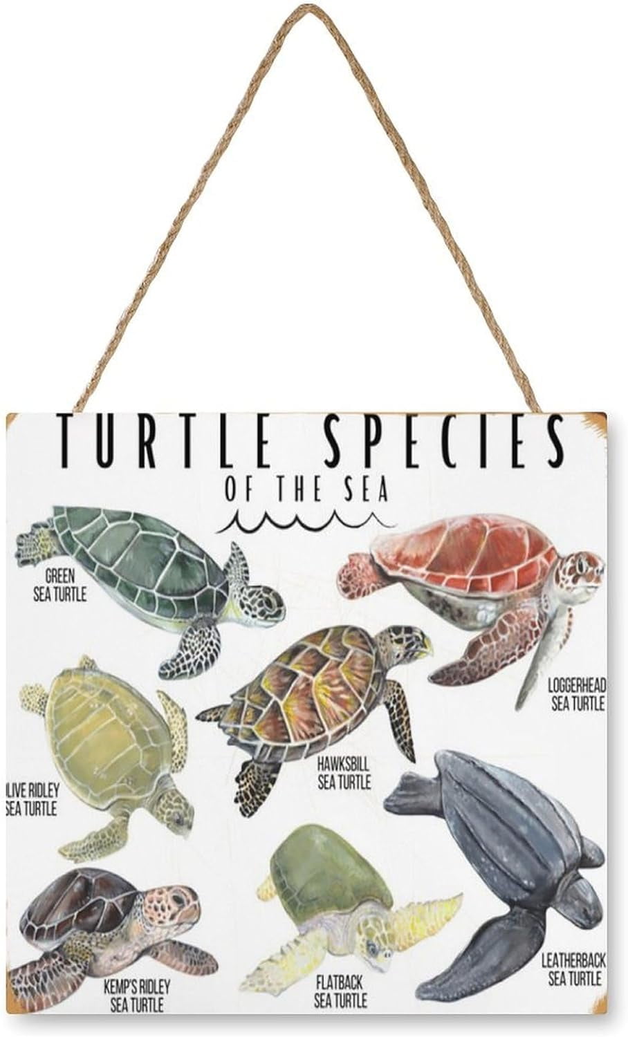 Sea Turtle Wood Hanging Signs - Turtle Species Guide - Turtle Lovers ...