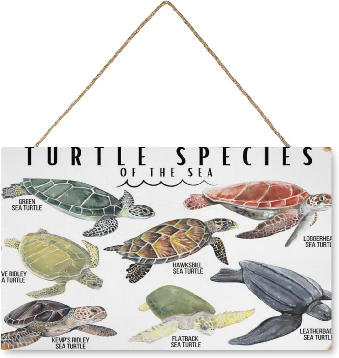Sea Turtle Wood Hanging Signs - Turtle Species Guide - Turtle Lovers ...