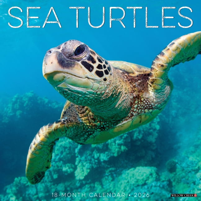 Sea Turtles 2026 Wall Calendar, (Paperback) - Walmart.com