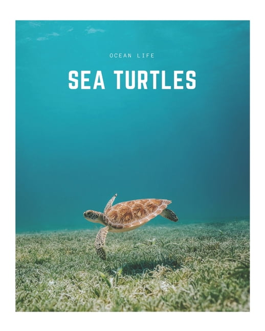 Ocean Life Book Sea Turtles: A Decorative Book │ Perfect for Stacking ...