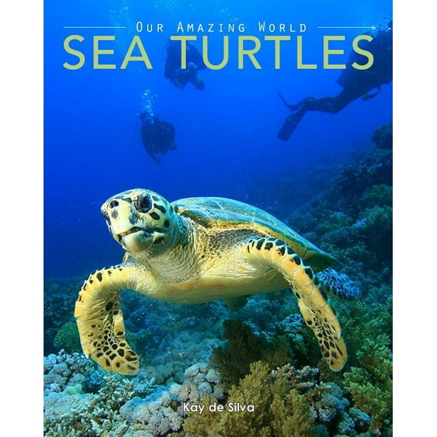 Sea Turtles : Amazing Pictures & Fun Facts on Animals in Nature ...
