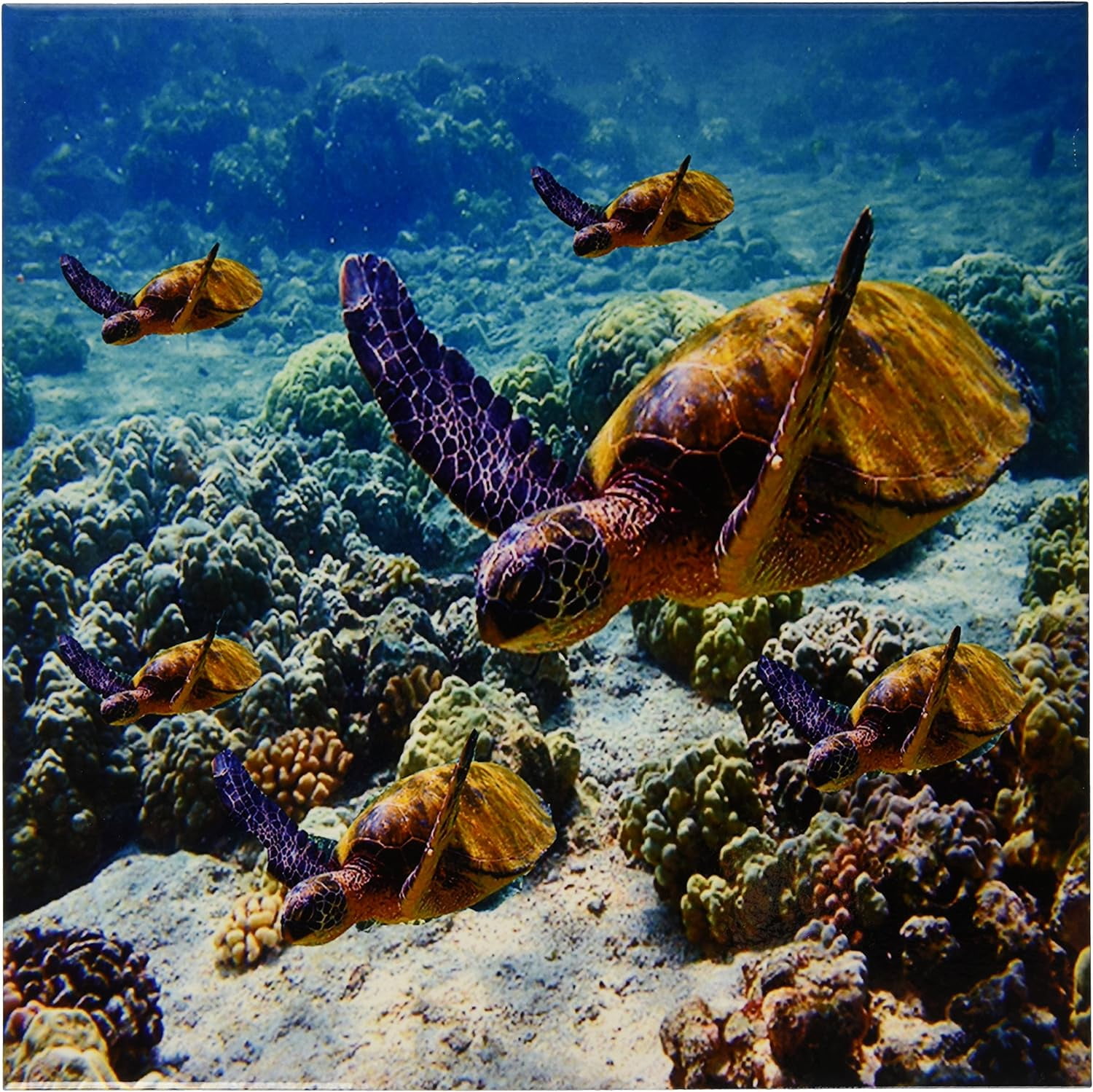 Sea Turtles Ceramic Tile, 12-Inch - Walmart.com