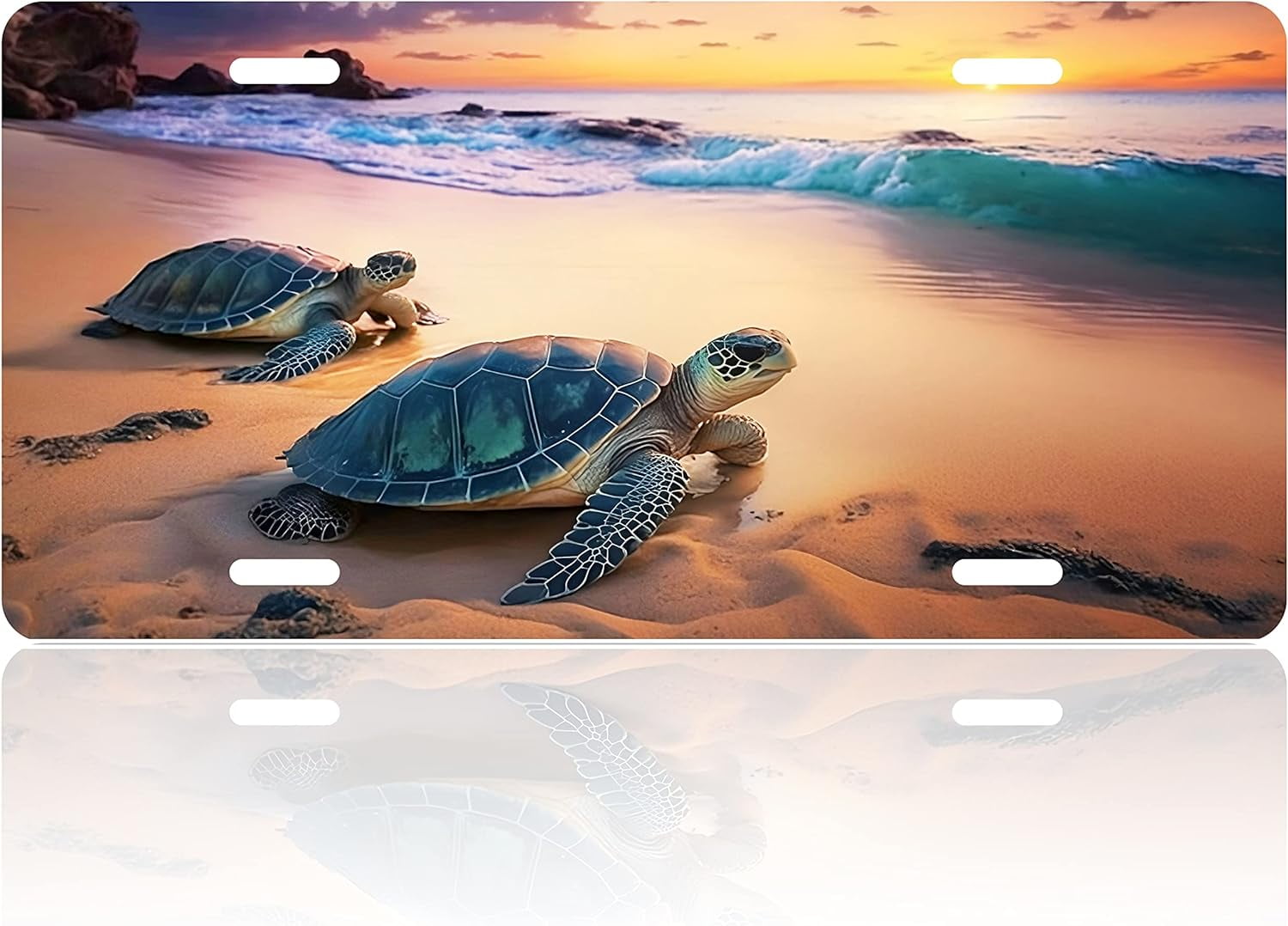 Sea Turtles License Plate Cover Beach Turtle Animal License Plate Funny ...
