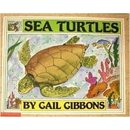 The Town of Turtle, (Hardcover) - Walmart.com