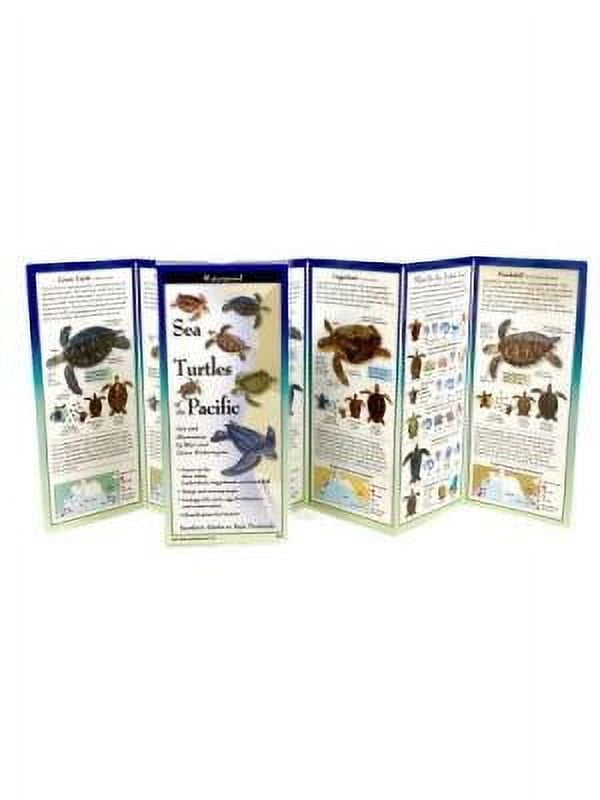 Sea Turtles of the Pacific Coast - Walmart.com