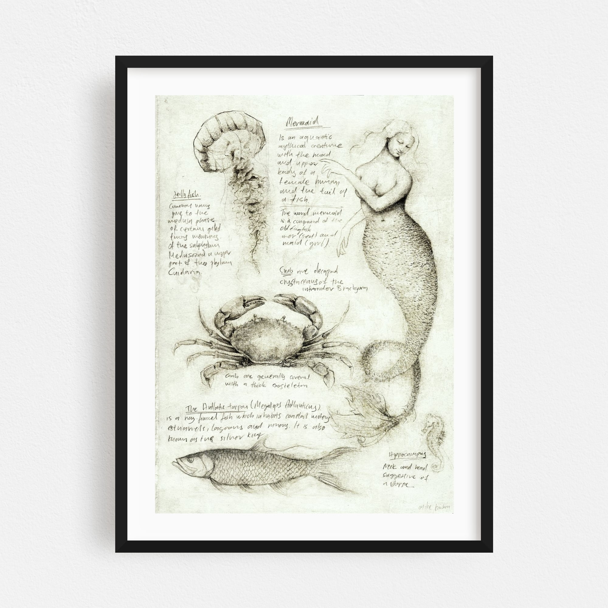 Sea animals - Drawing Fantasy Vintage Surrealism Line Art Ocean Nature ...