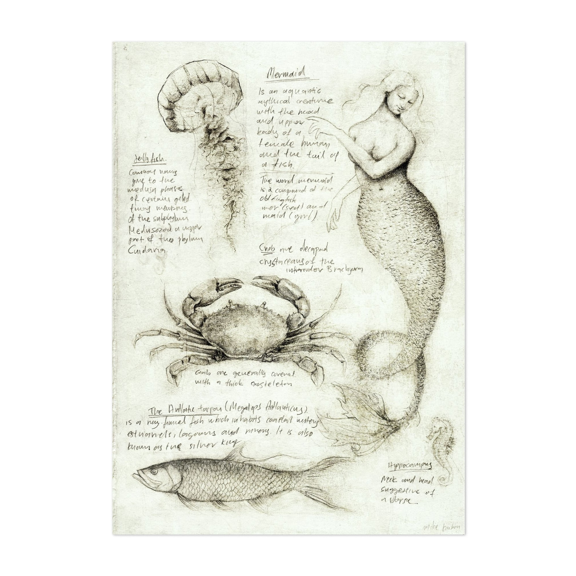 Sea animals - Drawing Fantasy Vintage Surrealism Line Art Ocean Nature ...