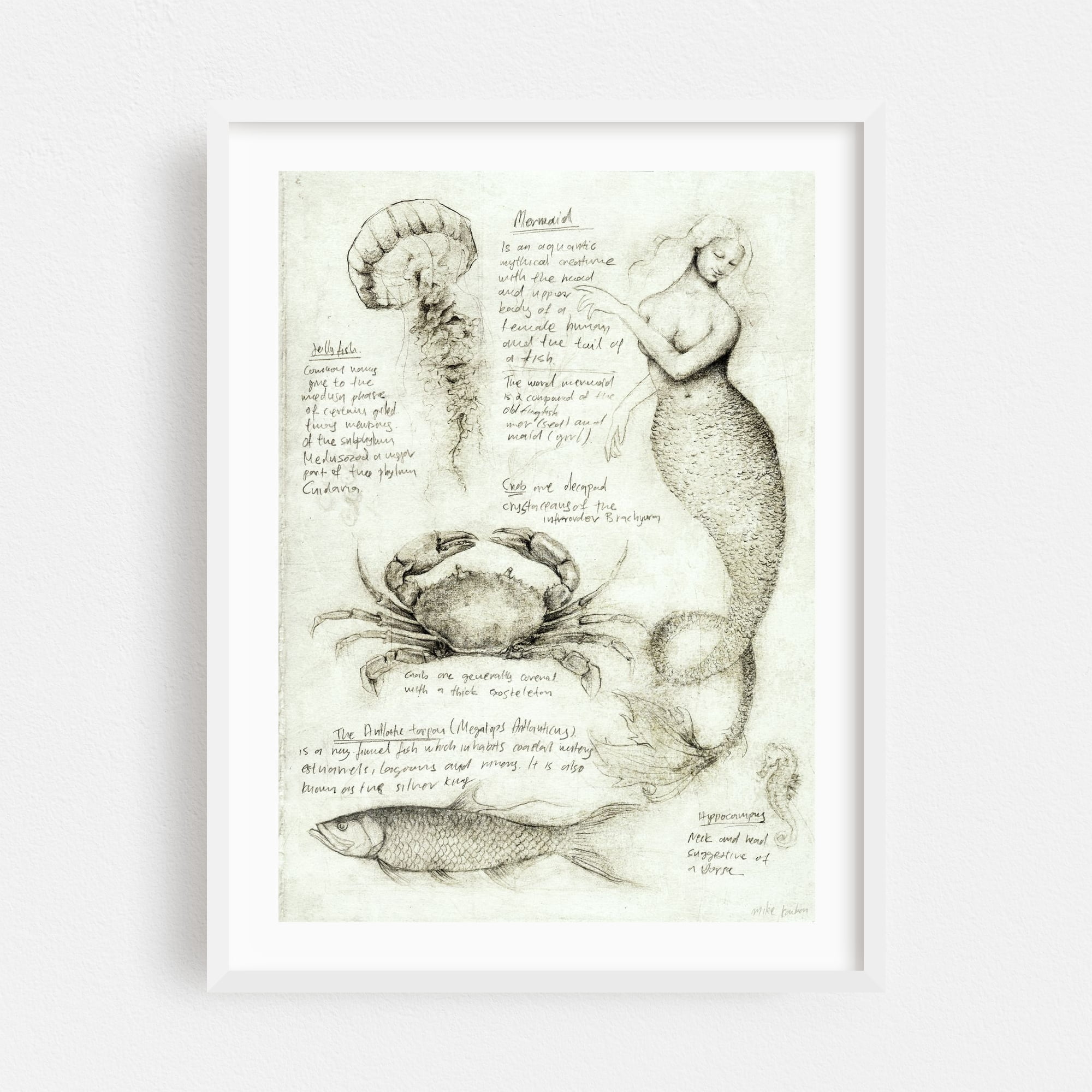 Sea animals - Drawing Fantasy Vintage Surrealism Line Art Ocean Nature ...