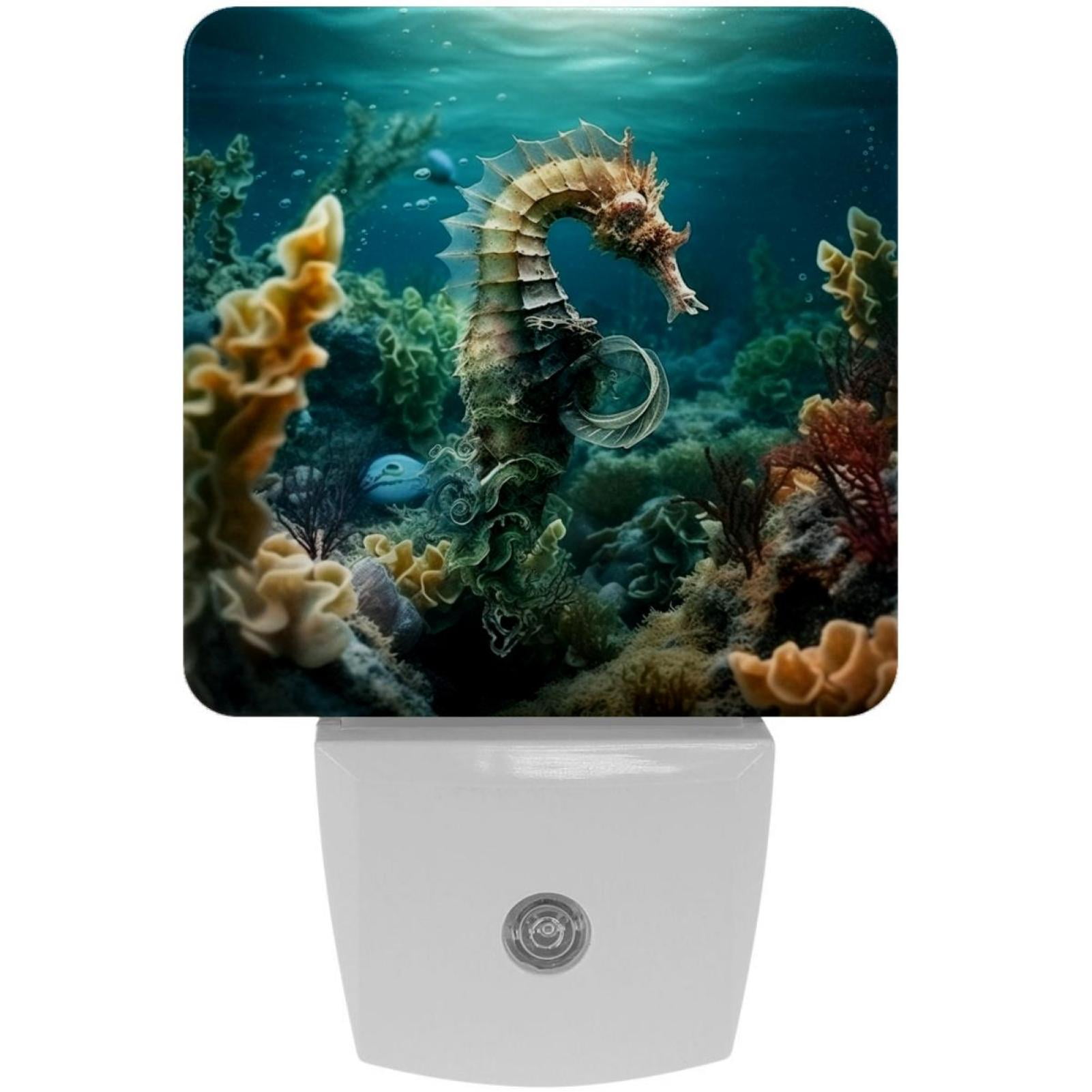 Sea horse LED Square Night Light - Small and Bright Square-shaped LED ...