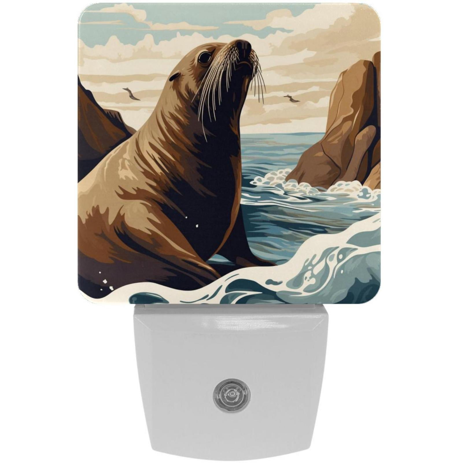 Sea lion Enhance Your Space with LED Square Night Lights - Versatile & Stylish Illumination ...