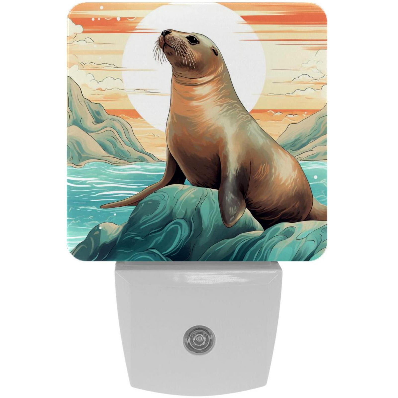 Sea lion LED Square Night Lights - Compact and Multifunctional ...