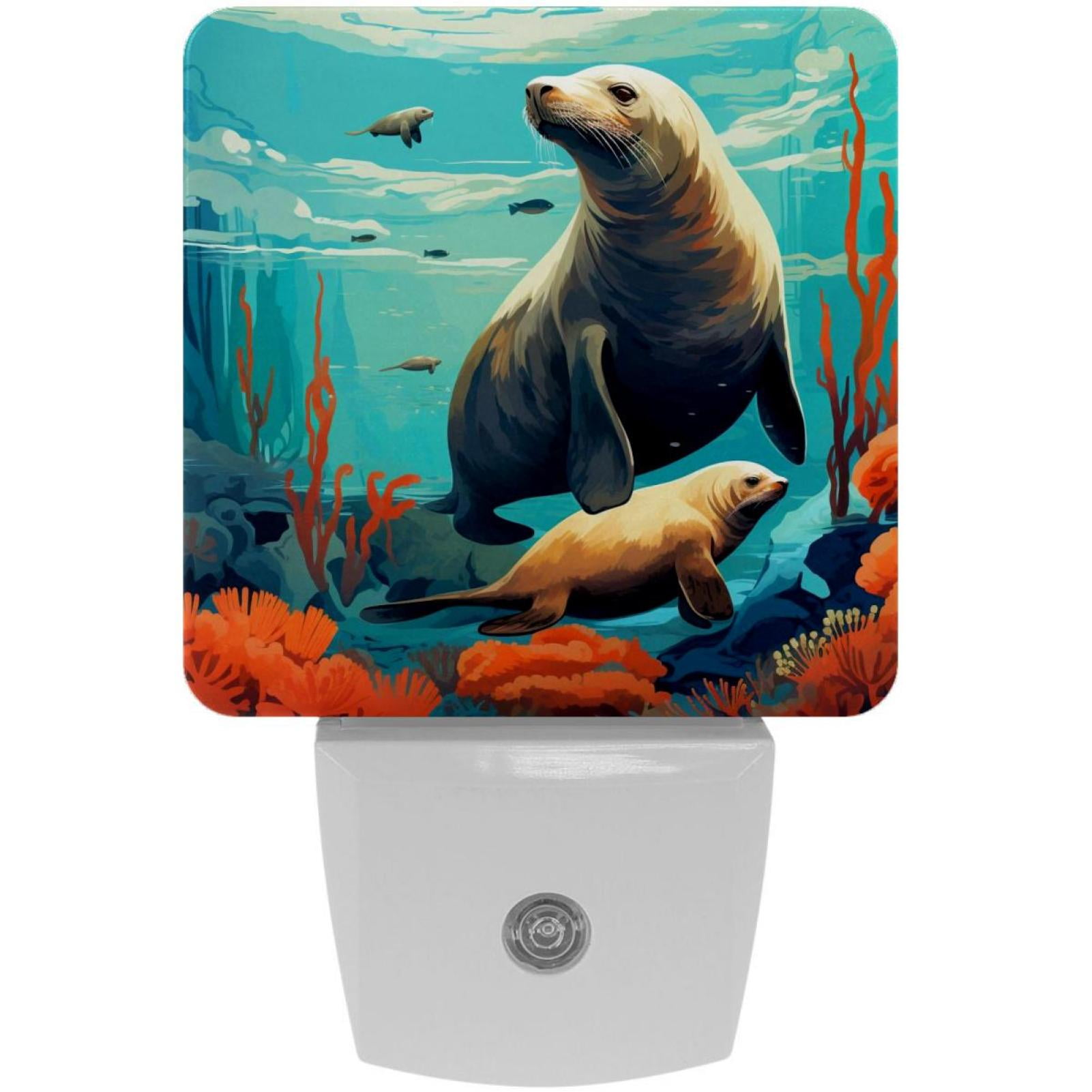 Sea lion LED Square Night Lights - Compact and Multifunctional ...
