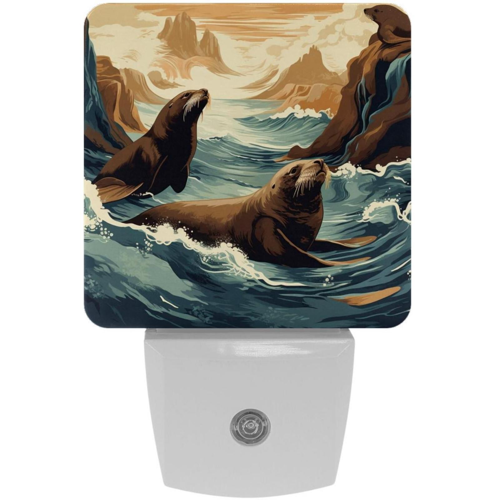 Sea lion LED Square Night Lights - Elegant and Energy Efficient ...