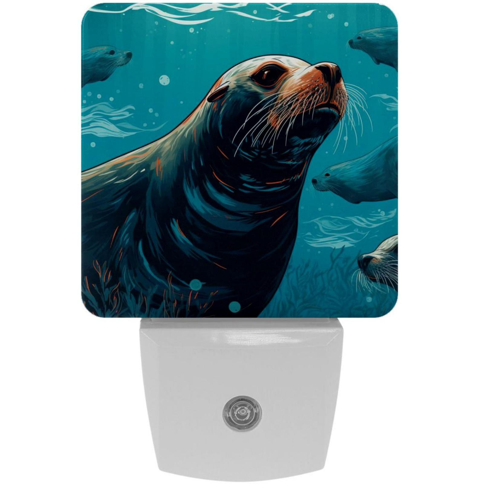 Sea lion LED Square Night Lights - Elegant and Energy Efficient ...