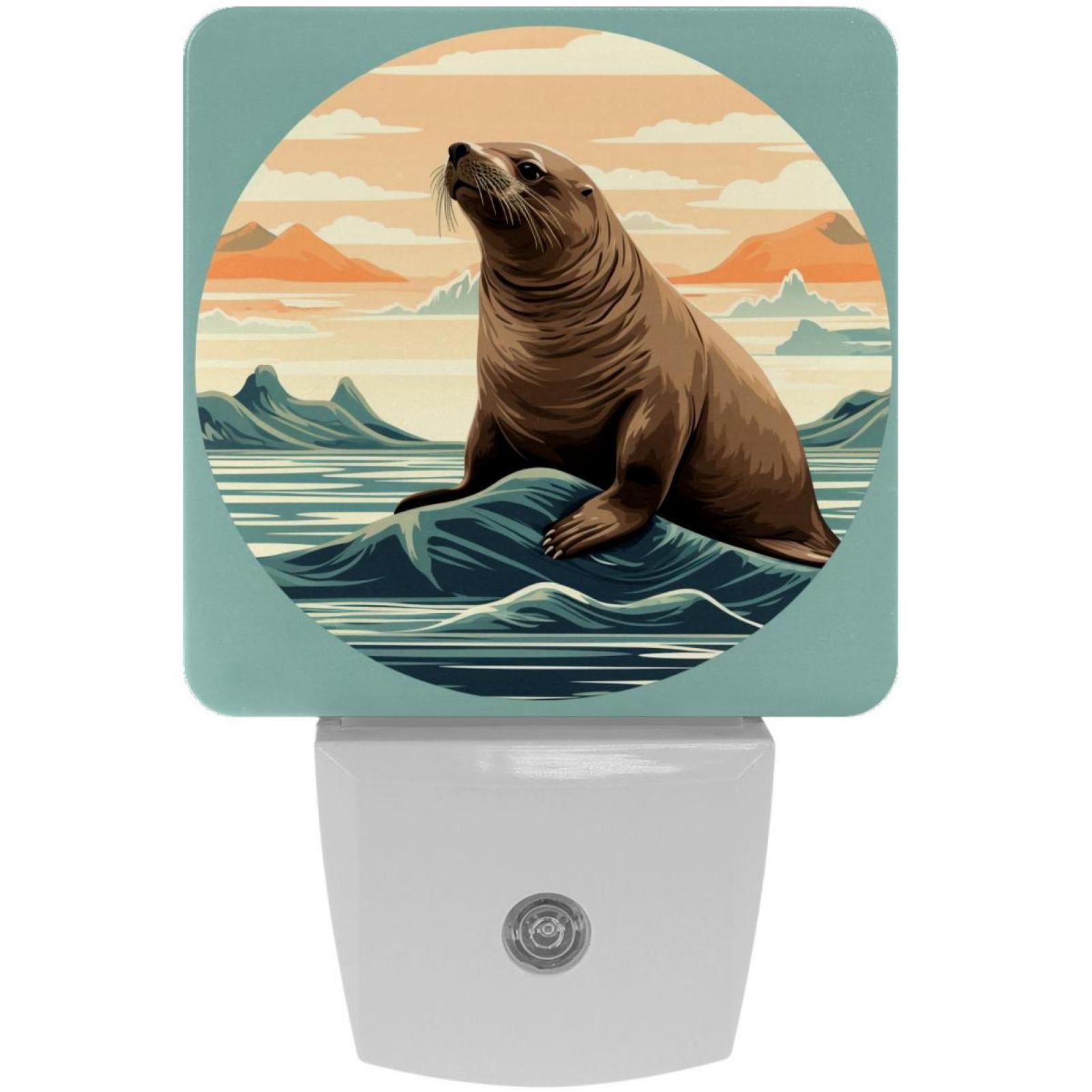 Sea lion LED Square Night Lights - Energy Efficient & Elegant ...