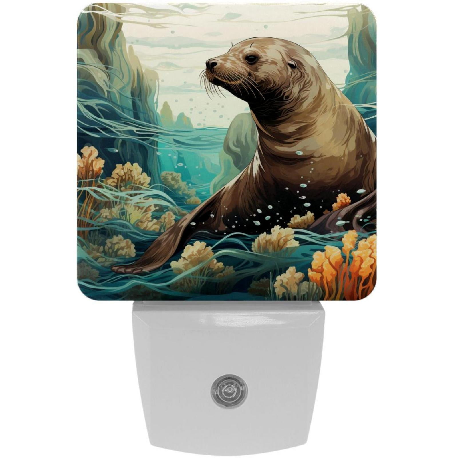 Sea lion LED Square Night Lights - Energy Efficient and Sleek Design ...